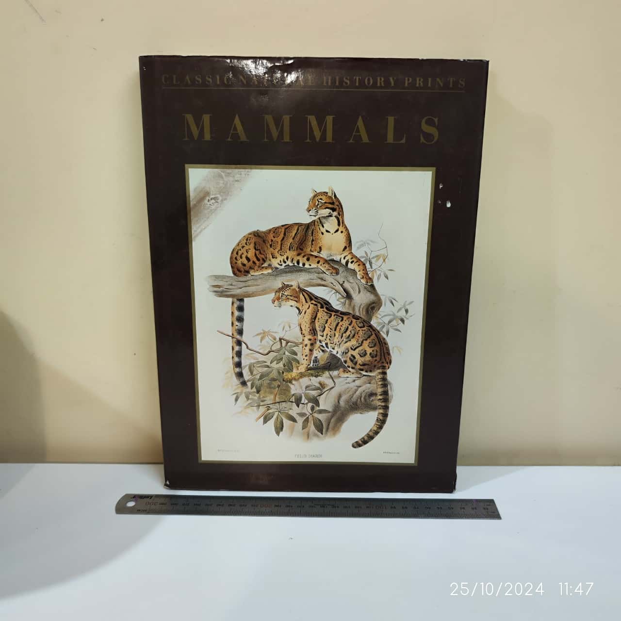 Mammals Book (s)