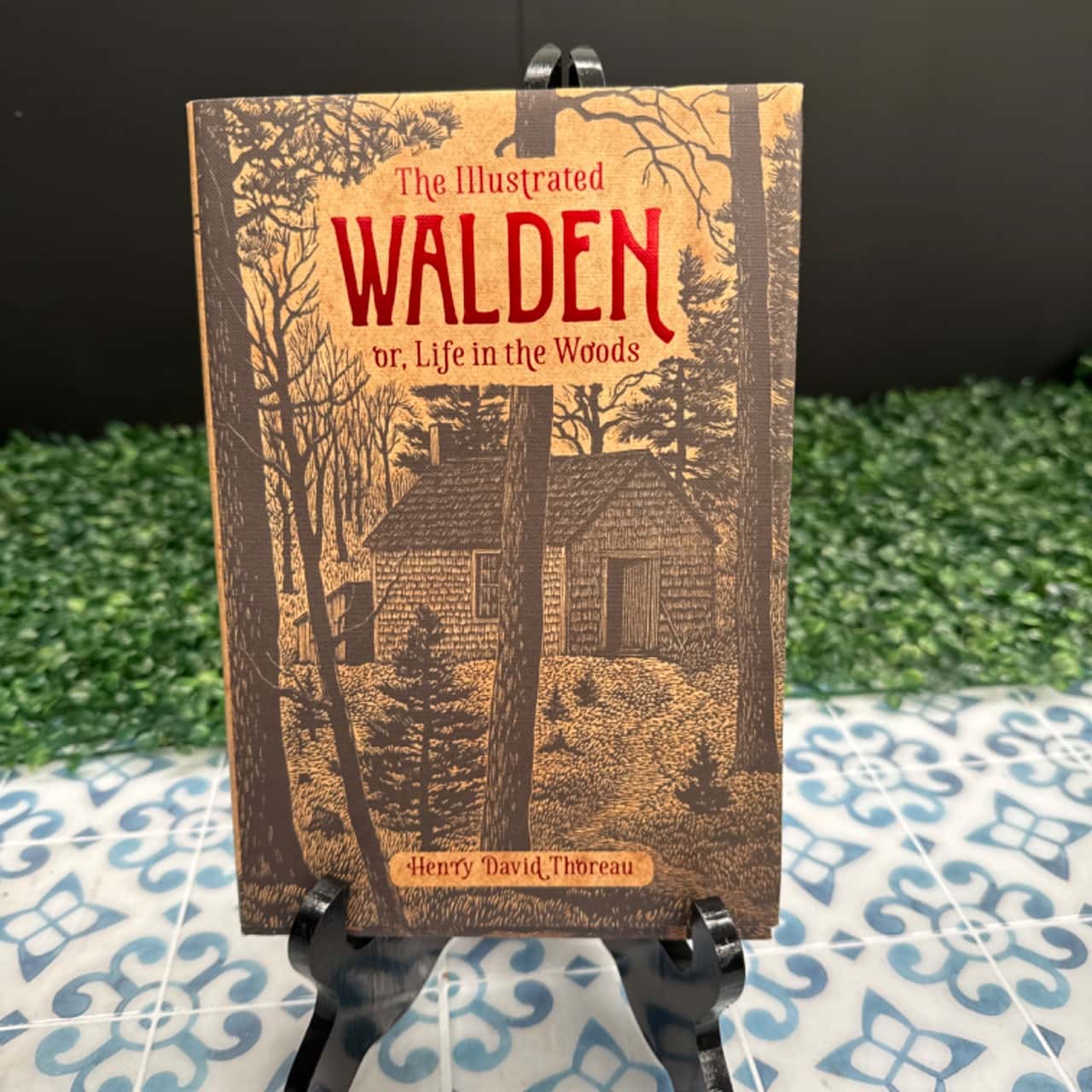 The Illustrated Walden (s)
