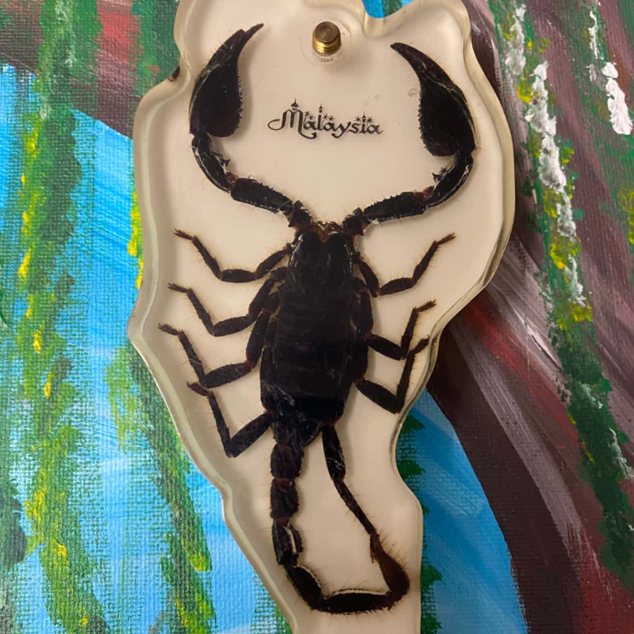 Scorpion In resin- please read description (s)