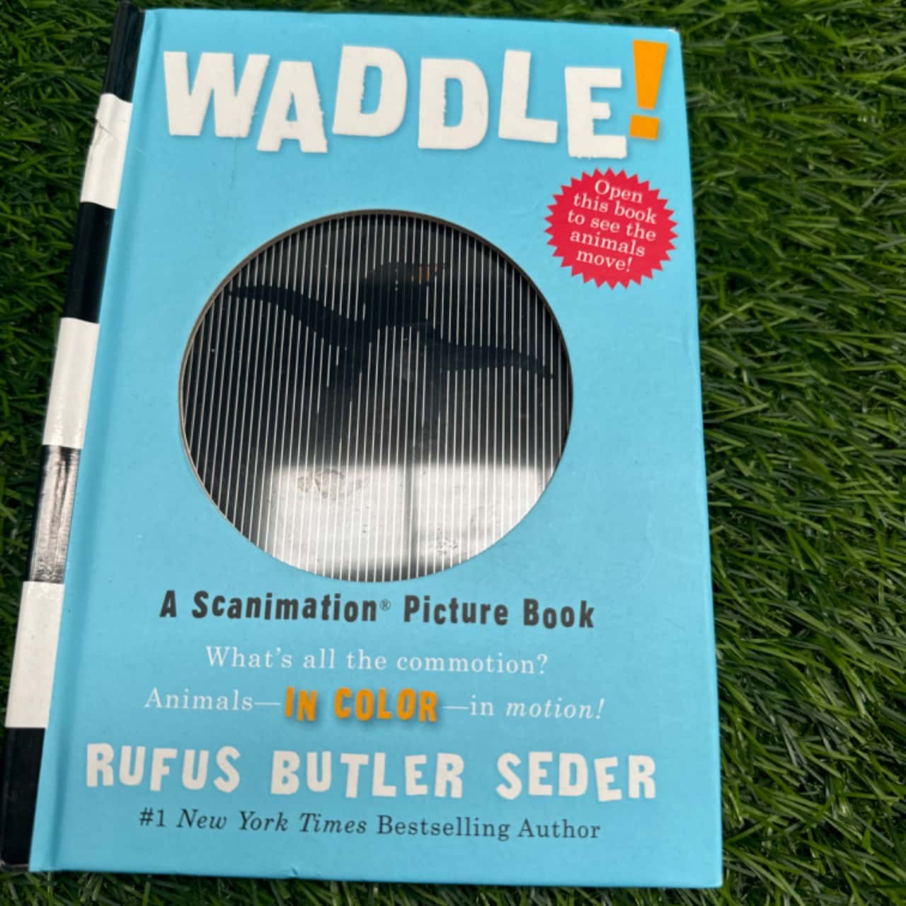 Waddle !(s)