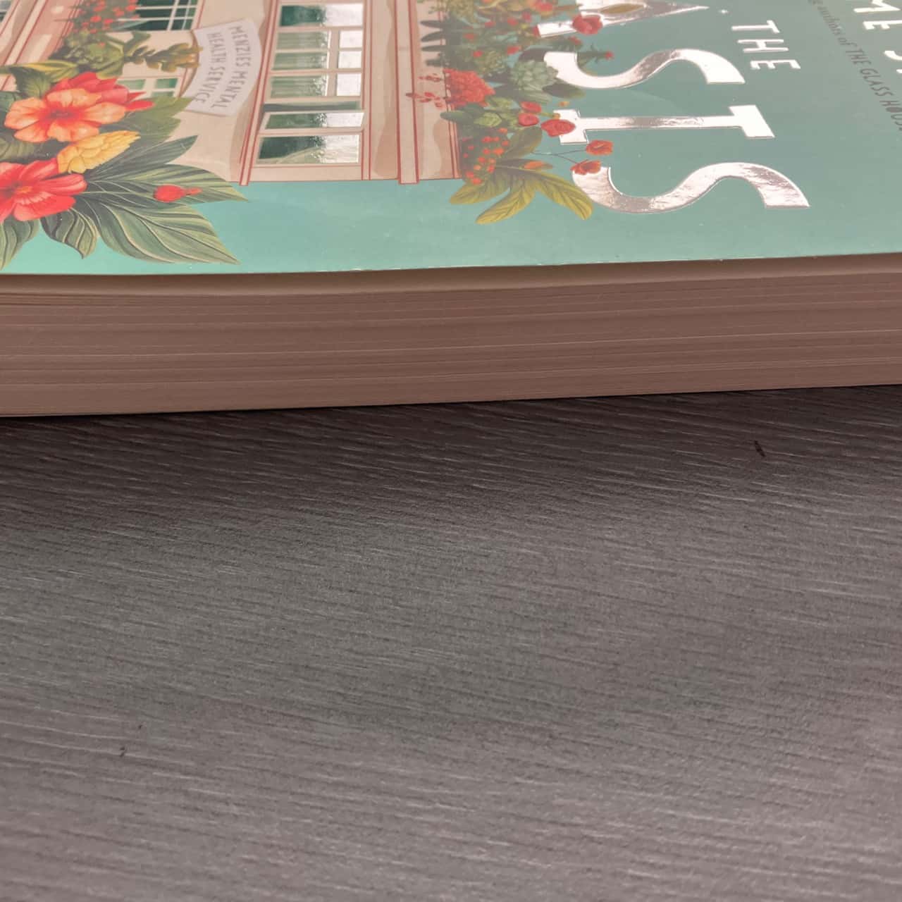 The Oasis by Anne Buist & Graeme Simson