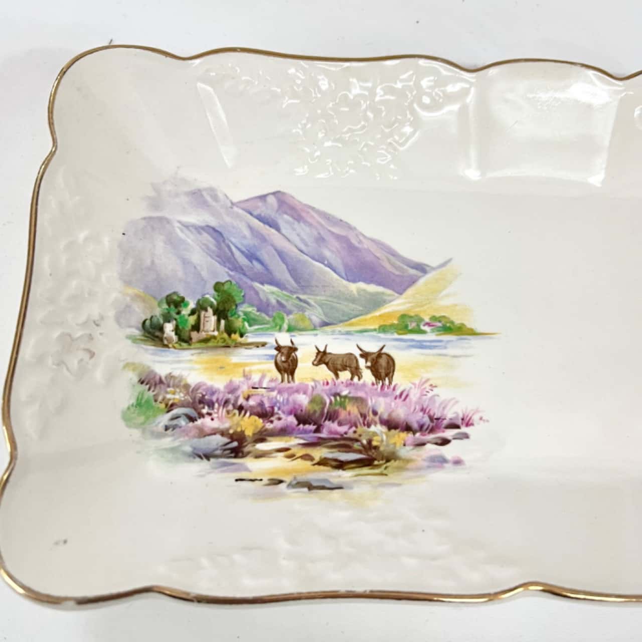 Empire Porcelain Co Made in England Rectangular Serving Tray -mountain ...