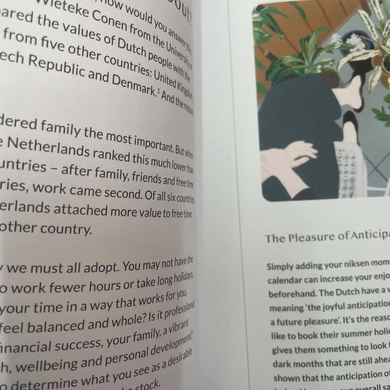 Niksen- The Dutch Art of doing nothing, Annette Lavrijsen (s)