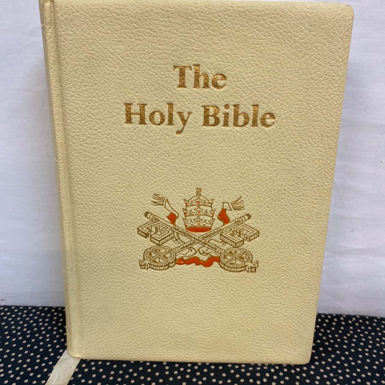 " LAST CHANCE " The Holy Bible with Leather Cover.(s)