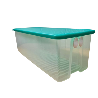 Tupperware Fridge-smart EXTRA Long Size Rectangle Container