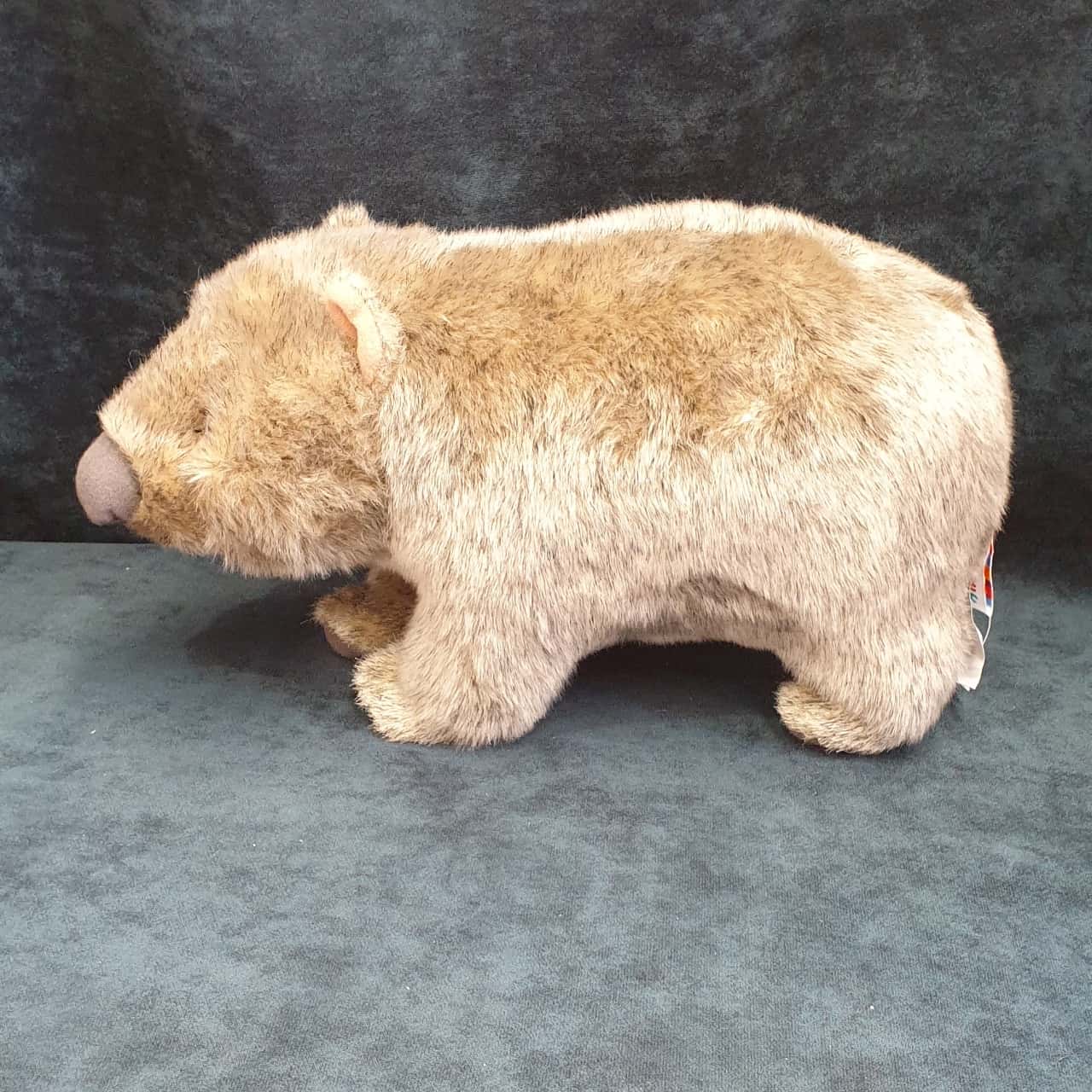 Wombat Stuffed Plush Toy (Anamalia)
