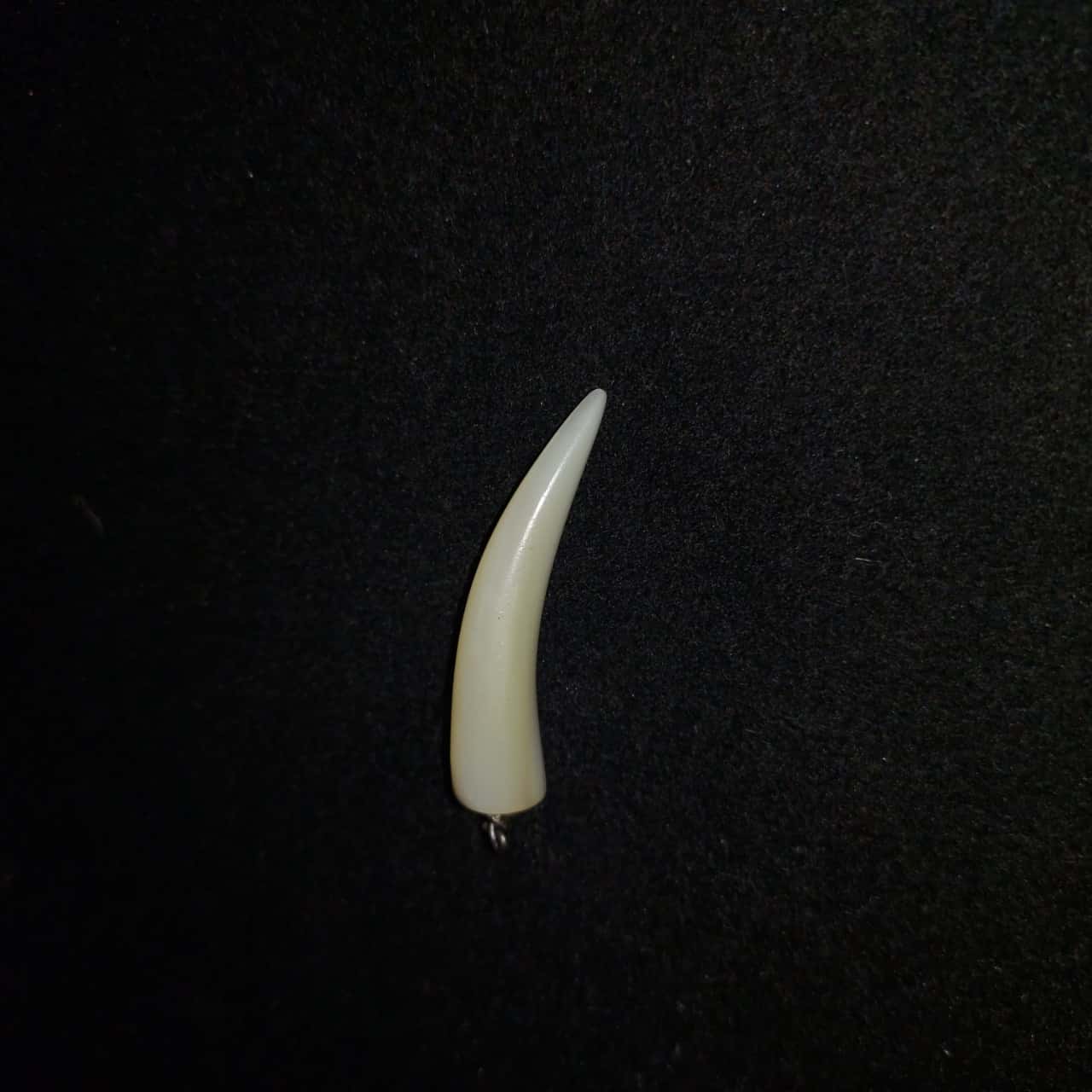 Opal Shell Tooth Pendant Agate Stone Carved Shark Tooth Costume Jewellery