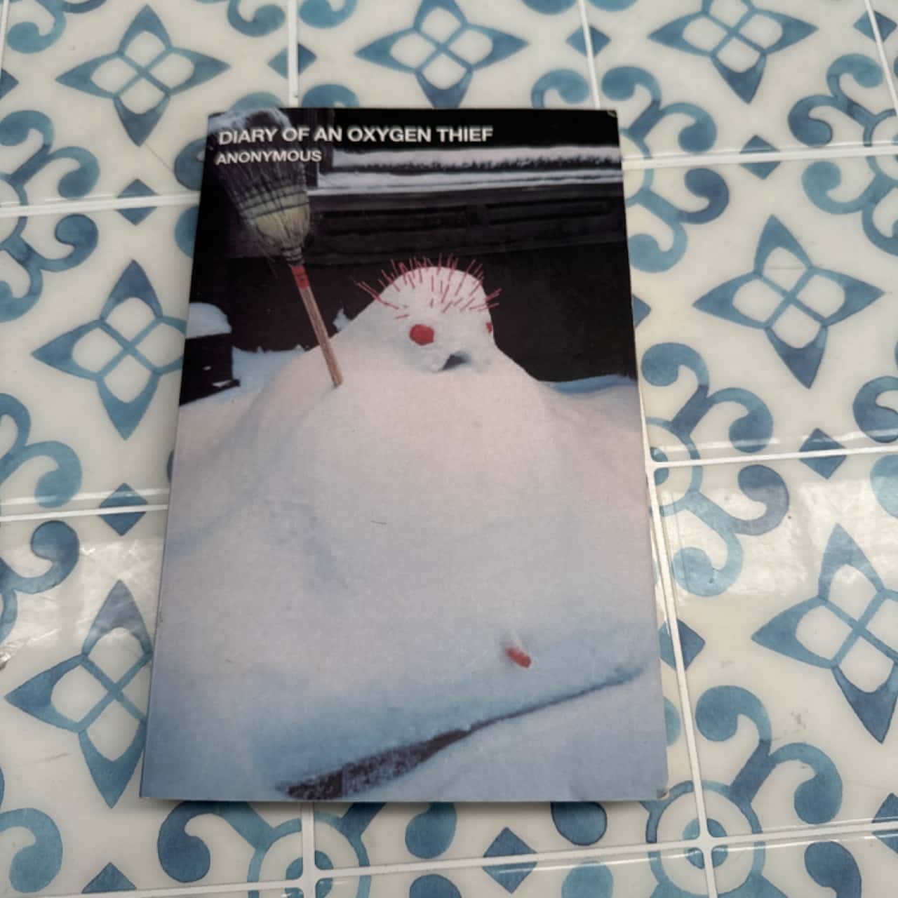 Diary of an oxygen thief (s)