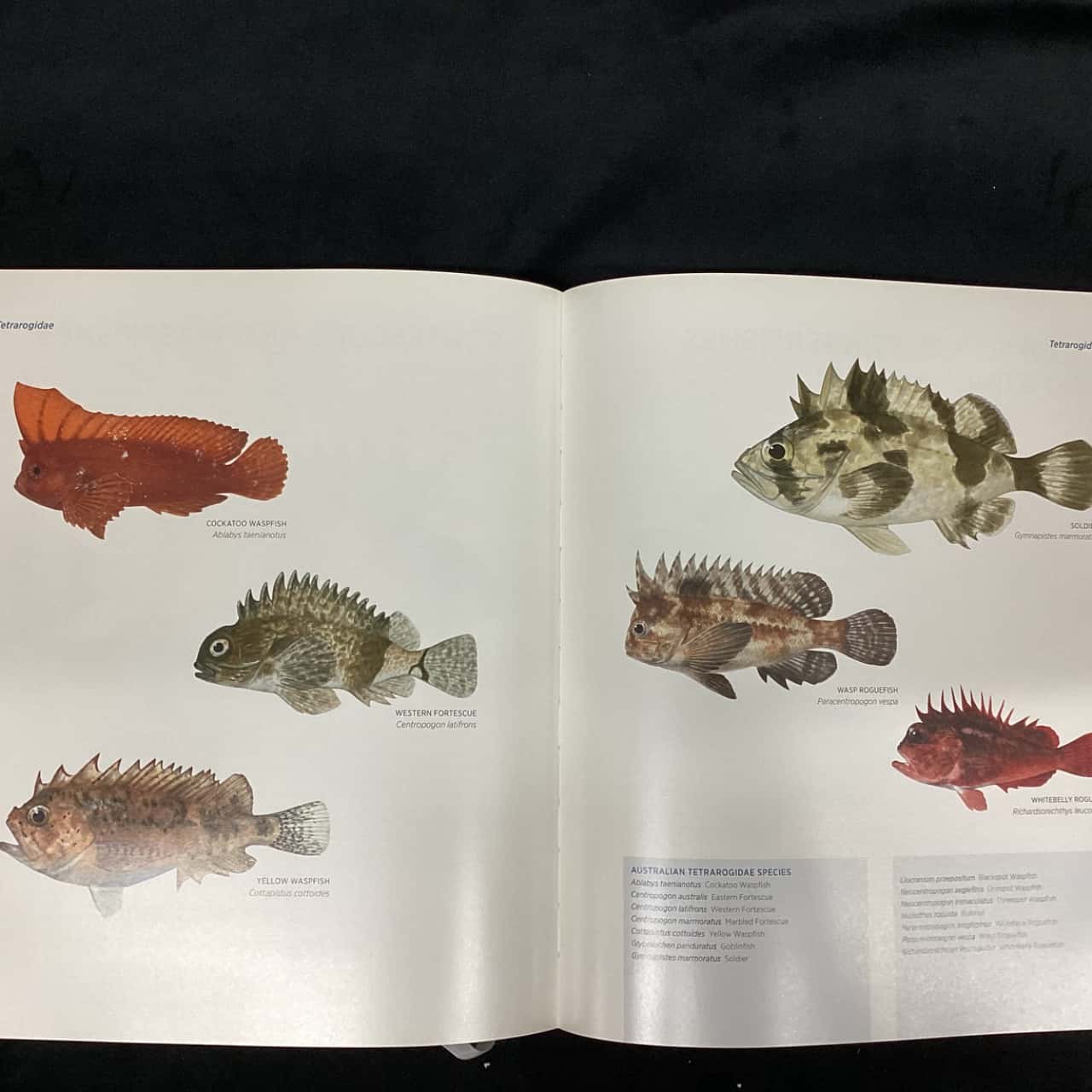 Swainston’s Fishes of Australia