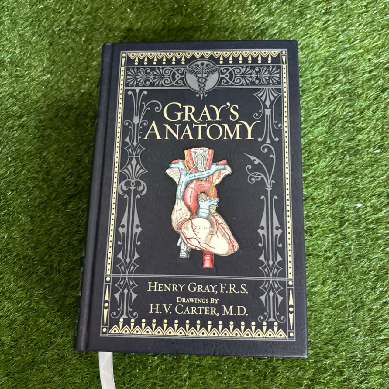 Gray's Anatomy by Henry Gray (s)