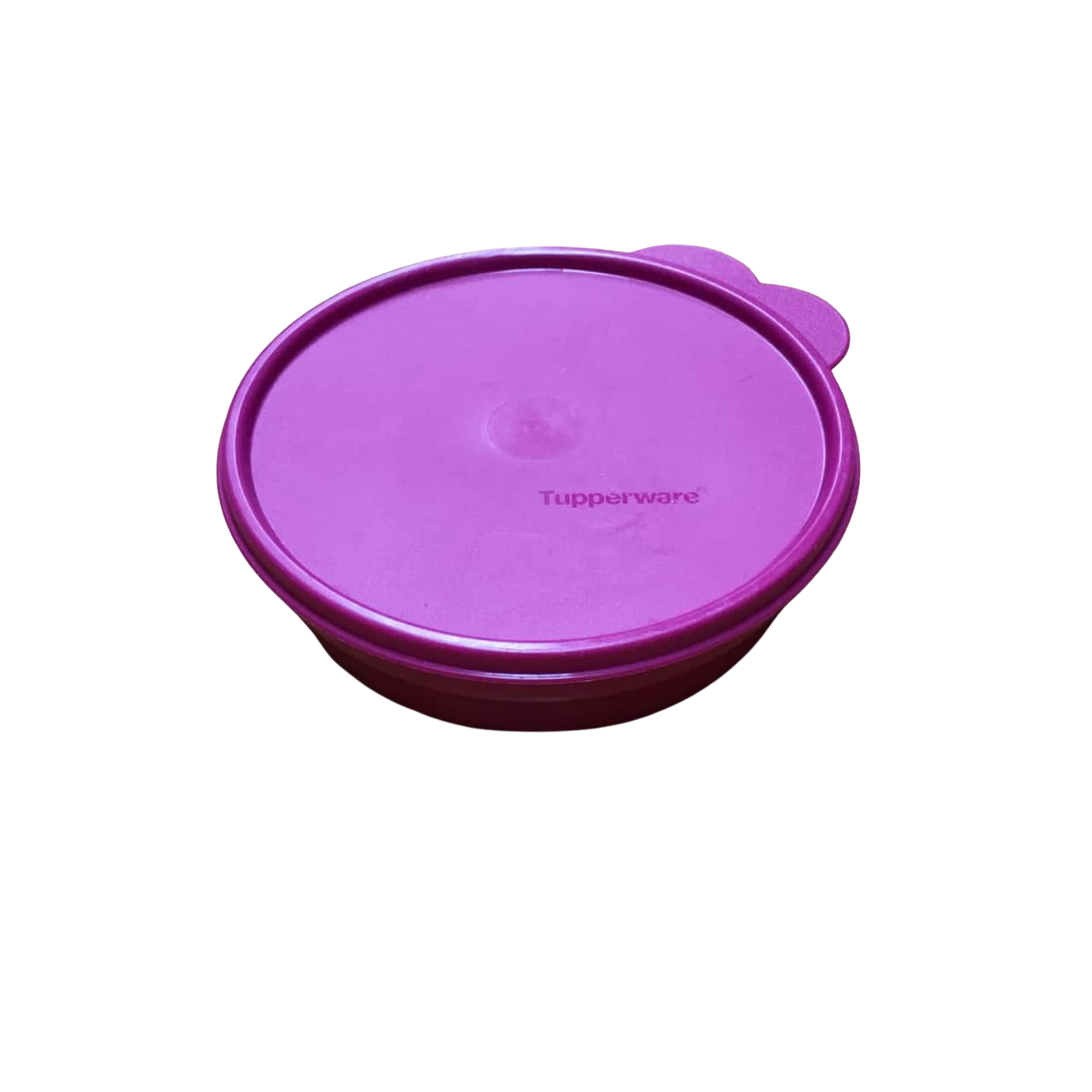 Tupperware Purple Container With Butterfly Tab 2415C-2