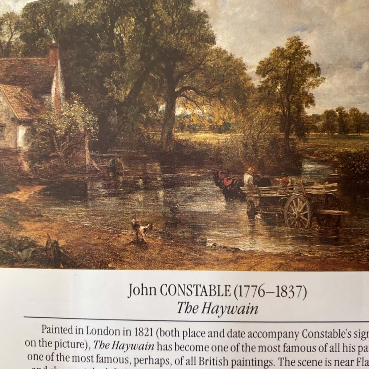 Reduced The National Gallery Collection -selected by Michael Levey(s)