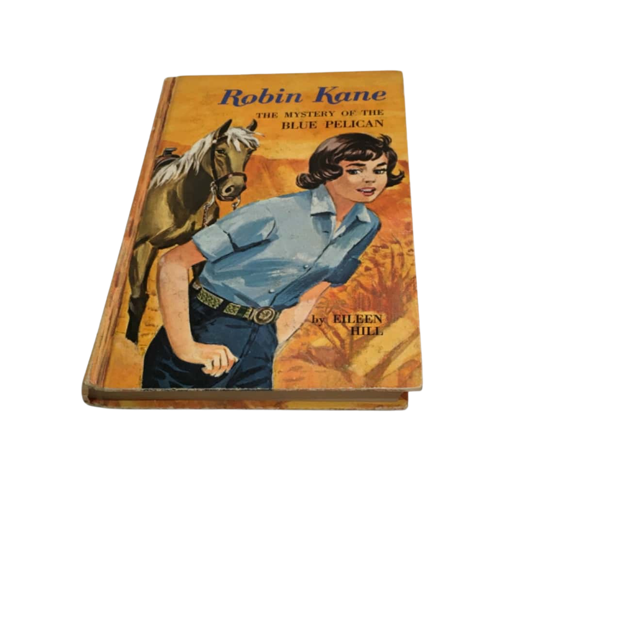 Robin Kane the mystery of the blue pelican by Eileen Hill