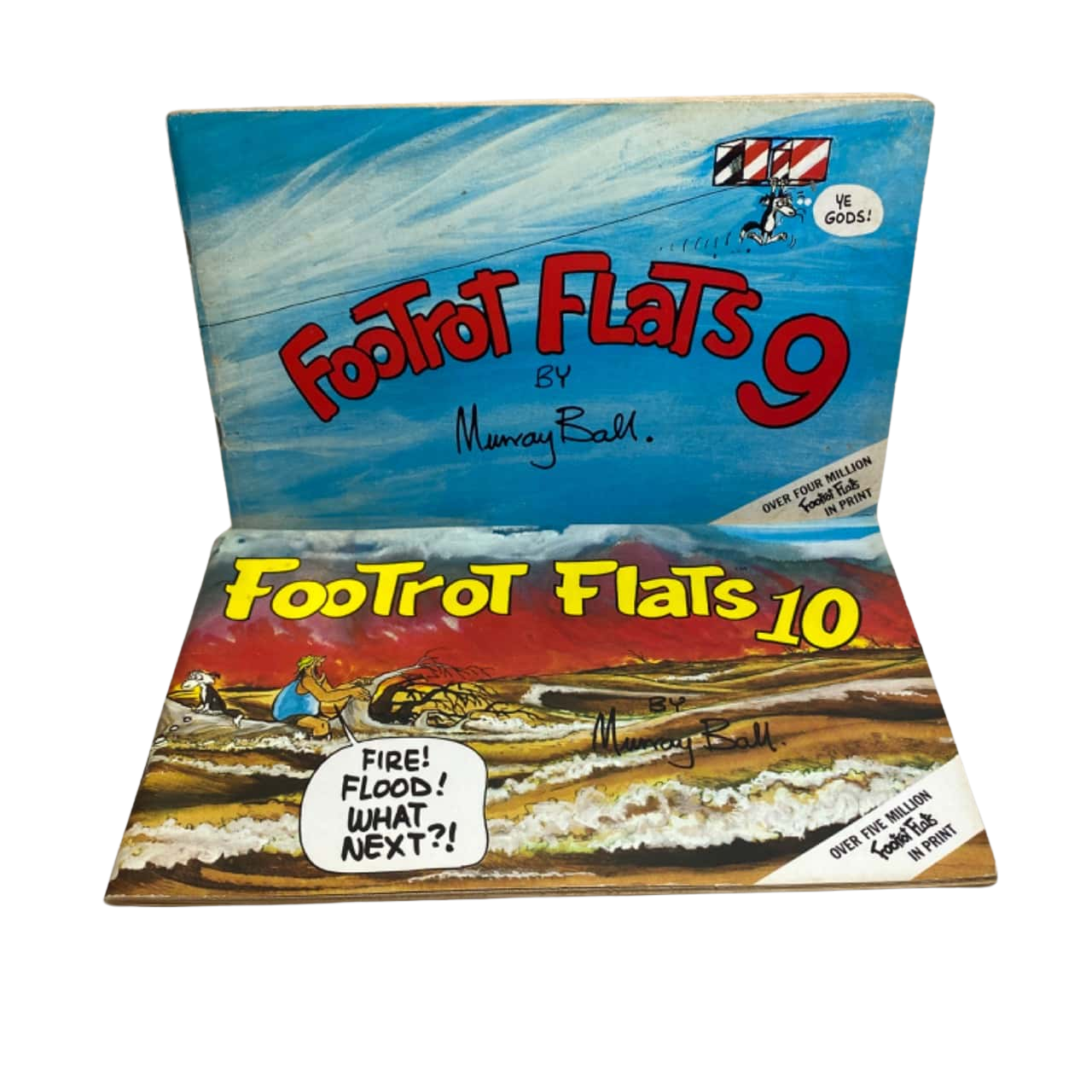 Footrot Flats 9 & 10 Book
