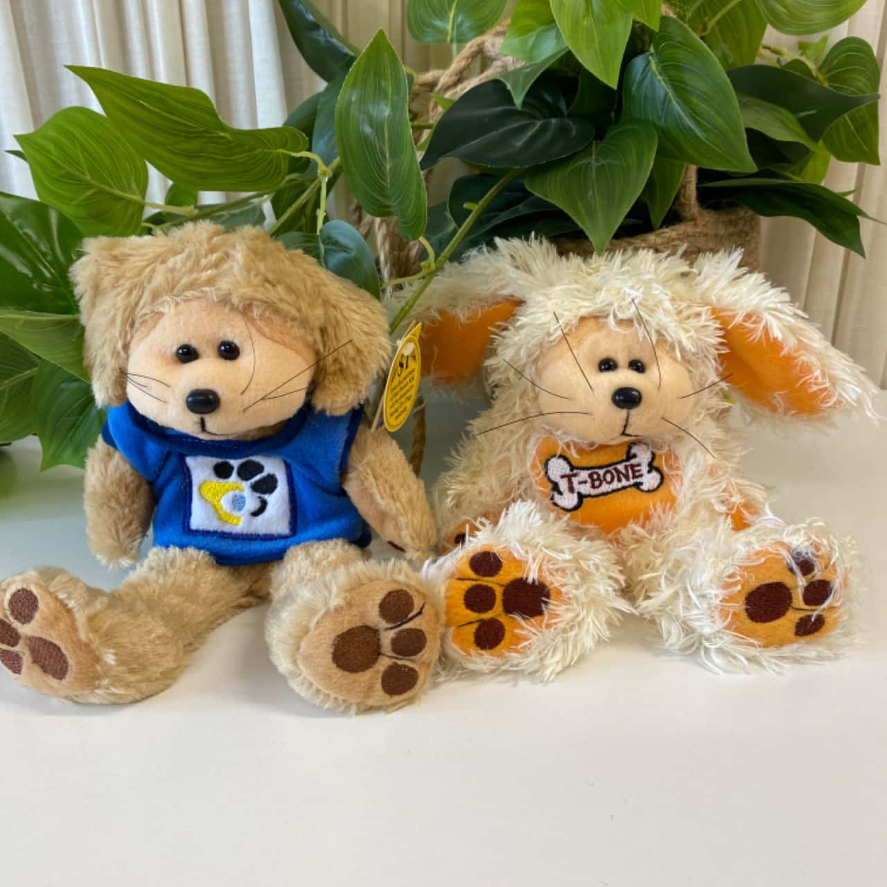 Beanie Kids See-More The Labrador Bear & T-Bone The Dog Bear