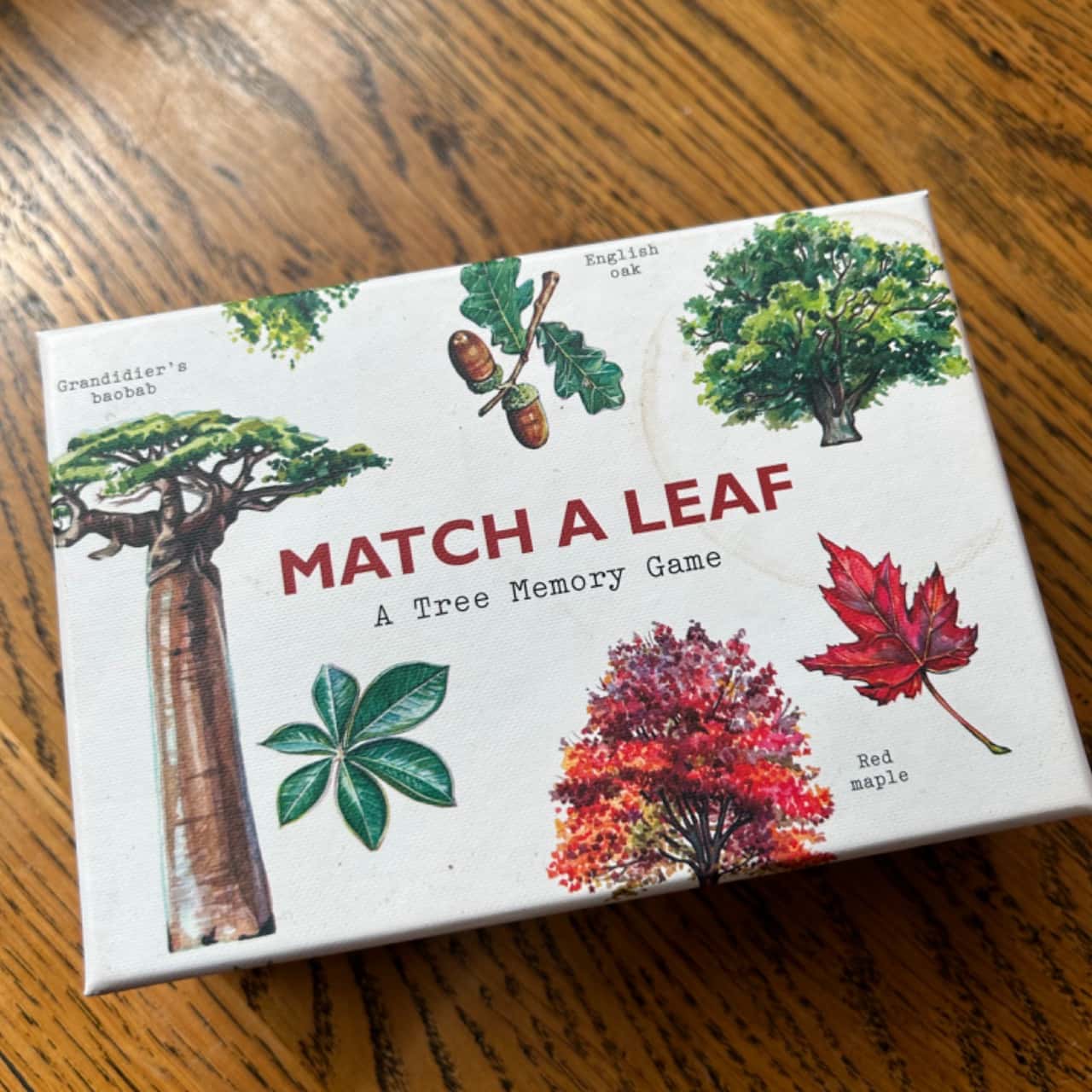Match a leaf memory game (s)