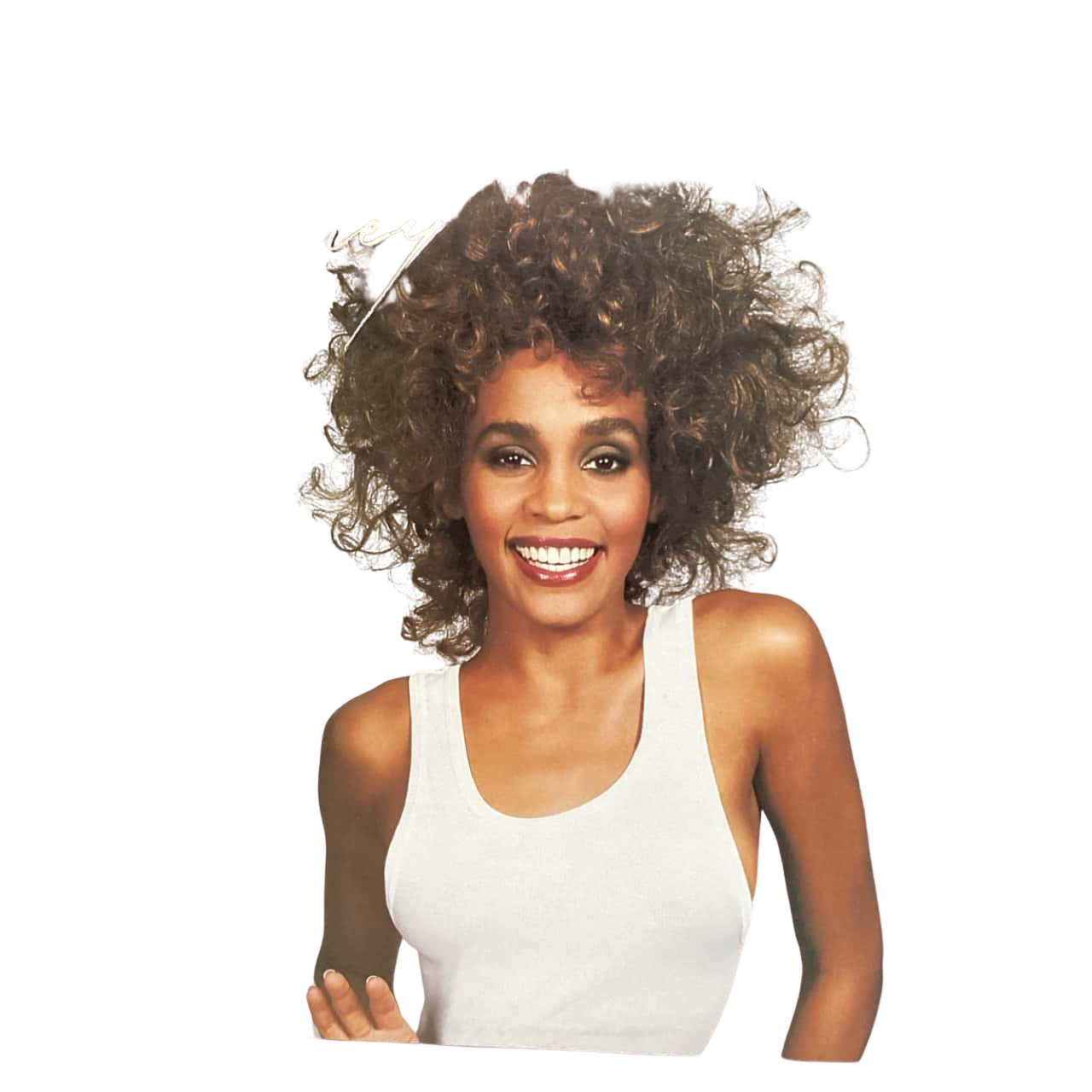 Whitney (Vinyl LP)(s)