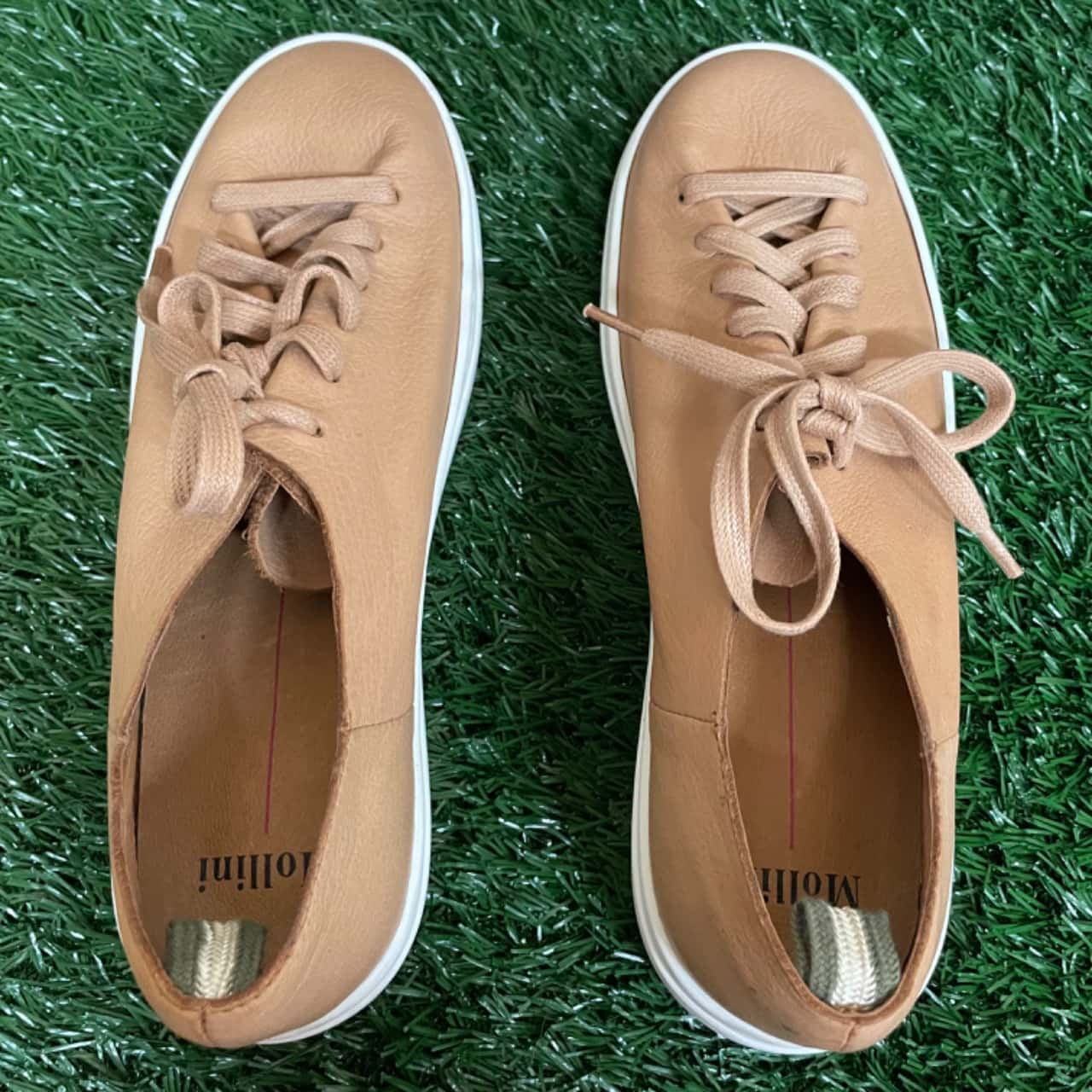 Mollini Tan Leather Orphic Lace Up Shoes Size 40(s)