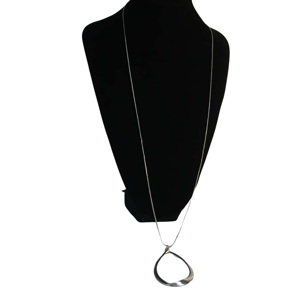 Silver Tone Long Chain & Pendant