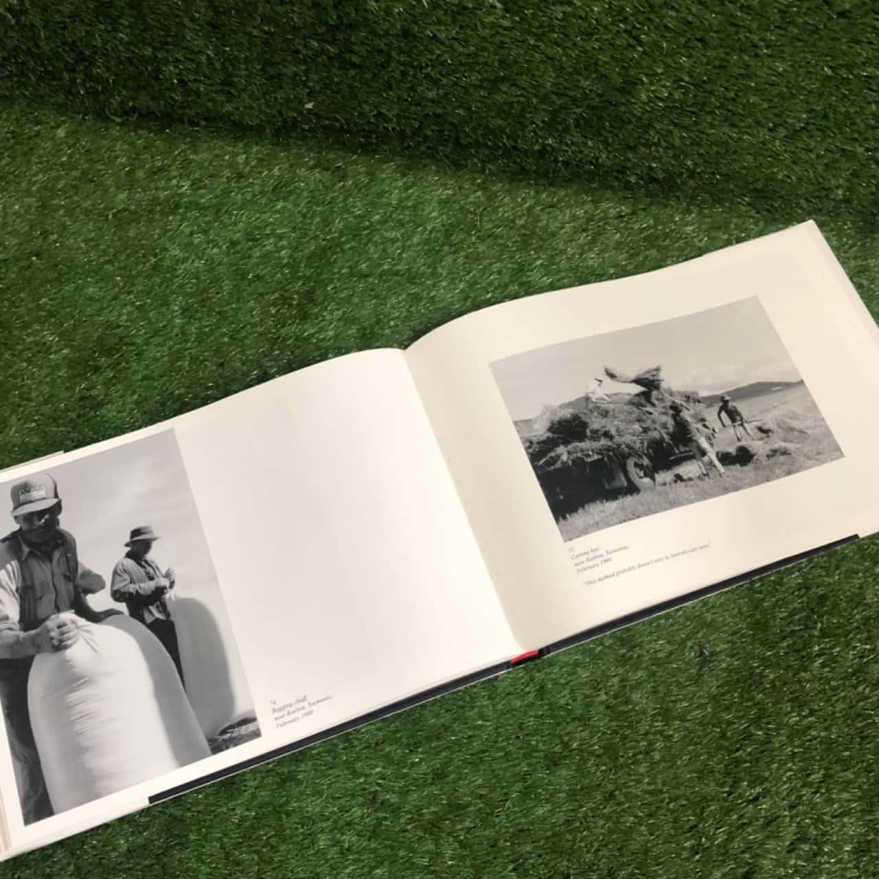 Incidental Images Photographs By Peter Brown(s)