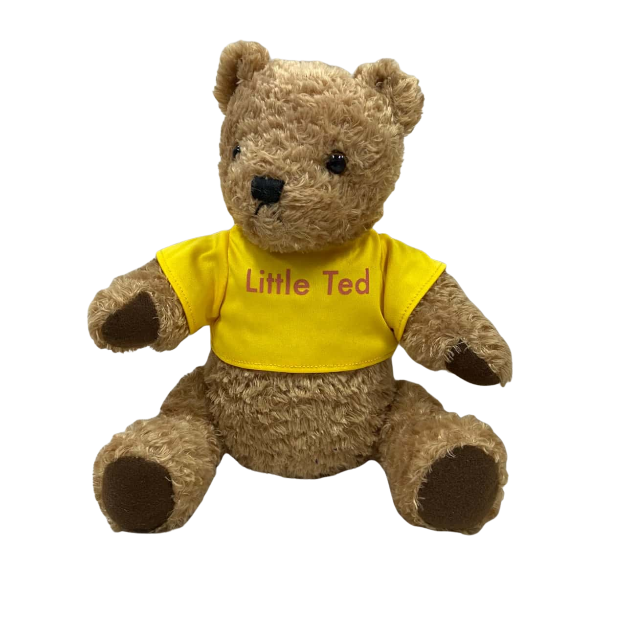 Play School - Little Ted - Jointed Teddy 27cm(s)
