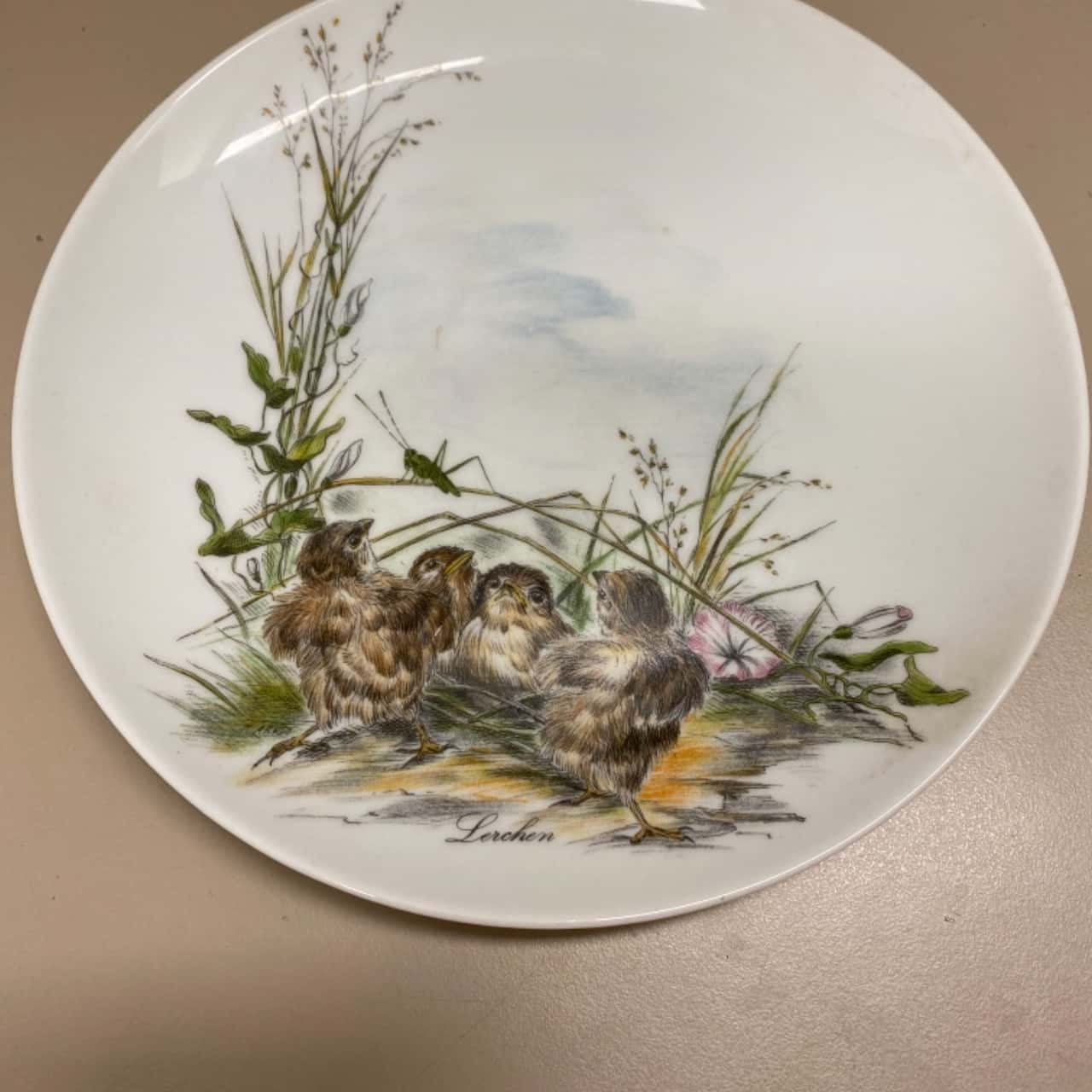 Vintage Kaiser Porcelain Decorative Larks Bird Hanging Plate