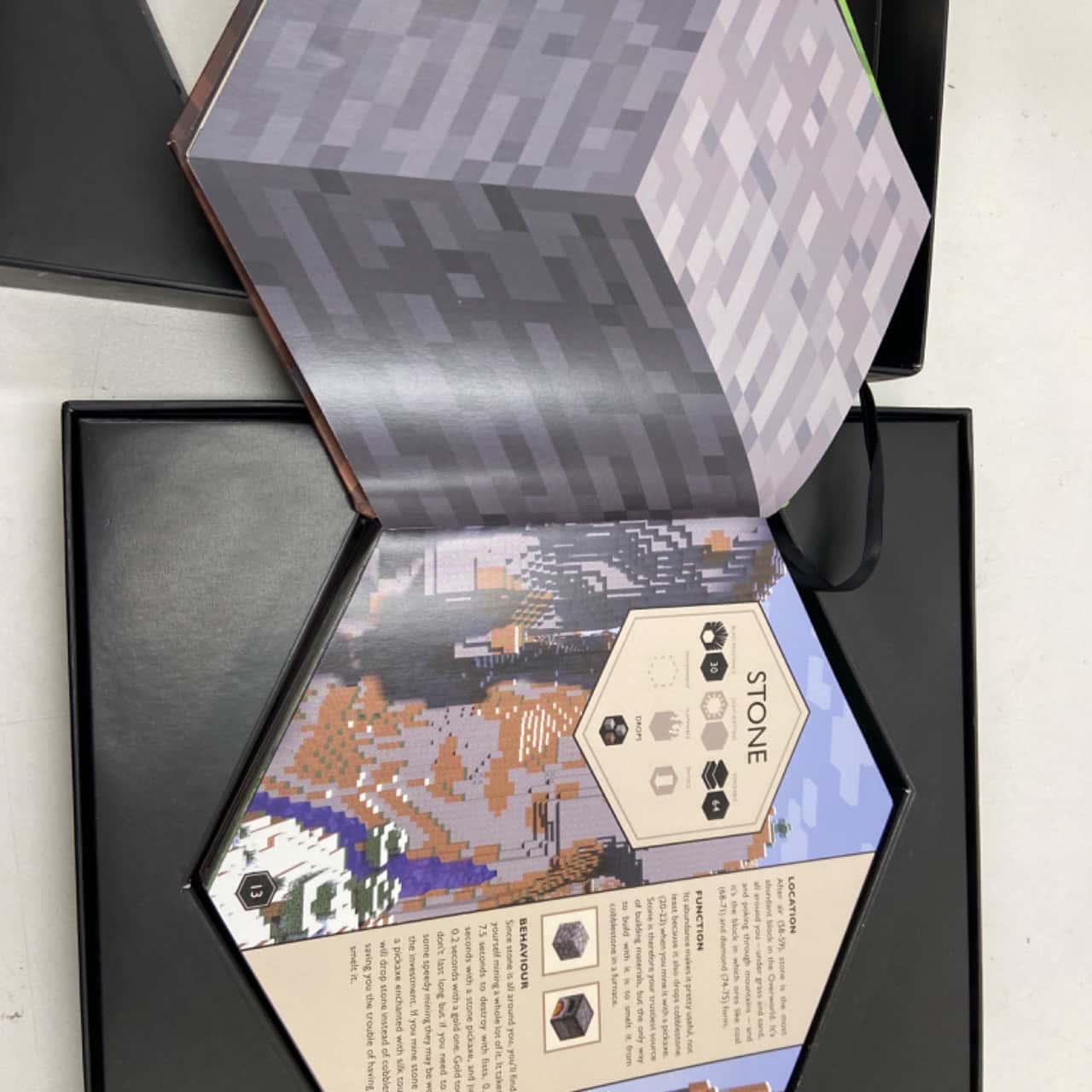 Minecraft Blockopedia book in box