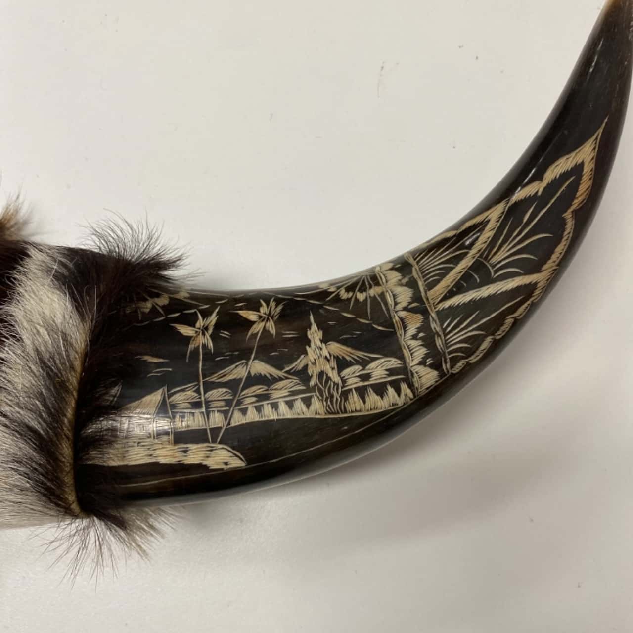 Buffalo Decorative Horns (s)