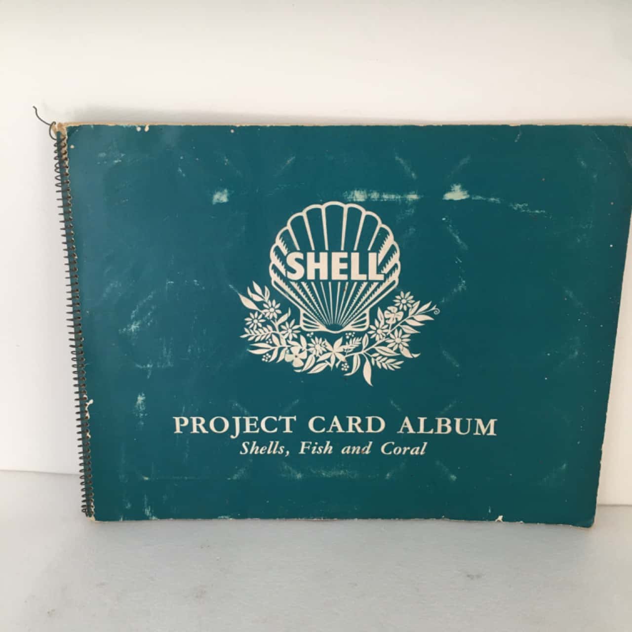 Vintage Shell Project Card Album - Shell, Fish & Coral c.1960s ...