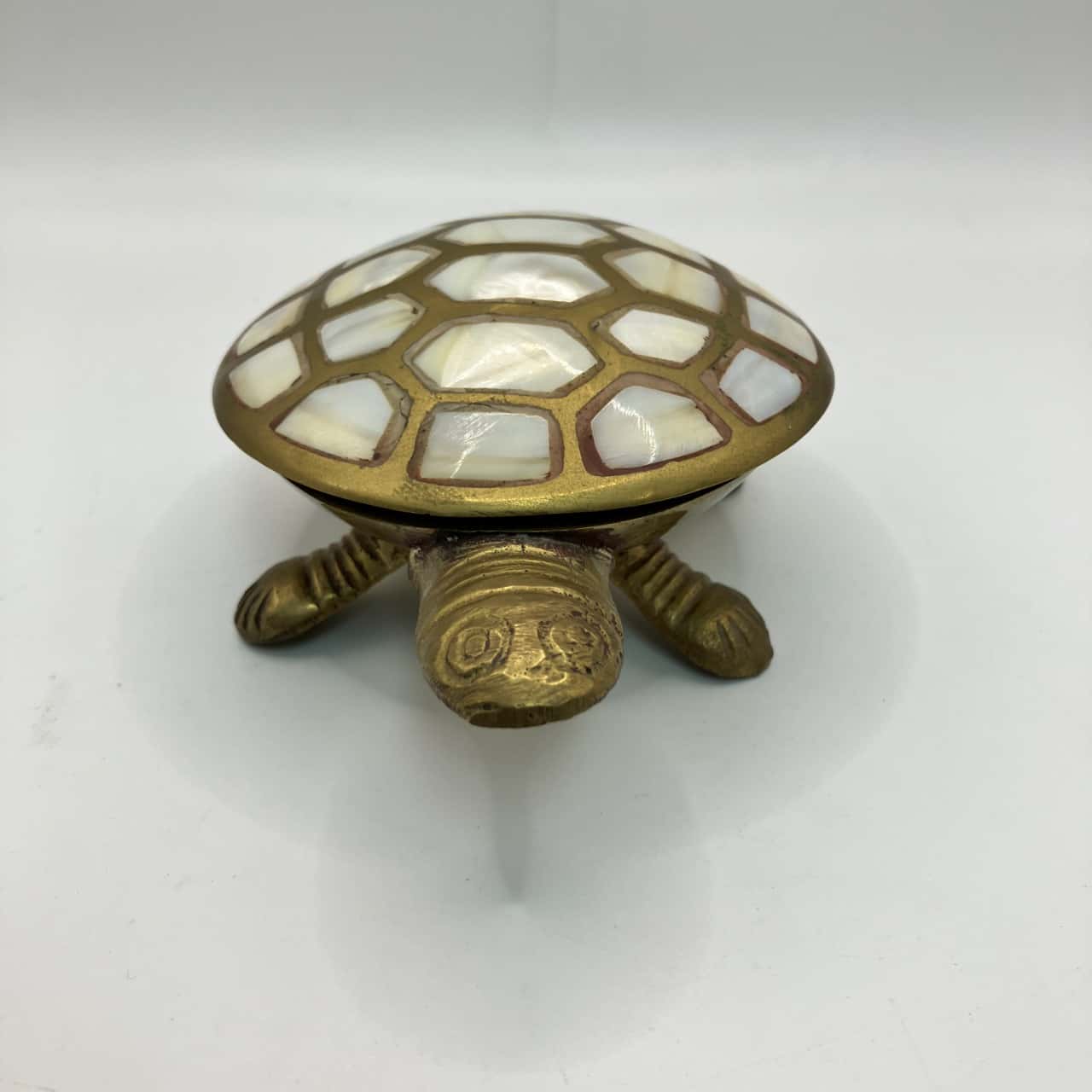 Brass/Shell Turtle(s)