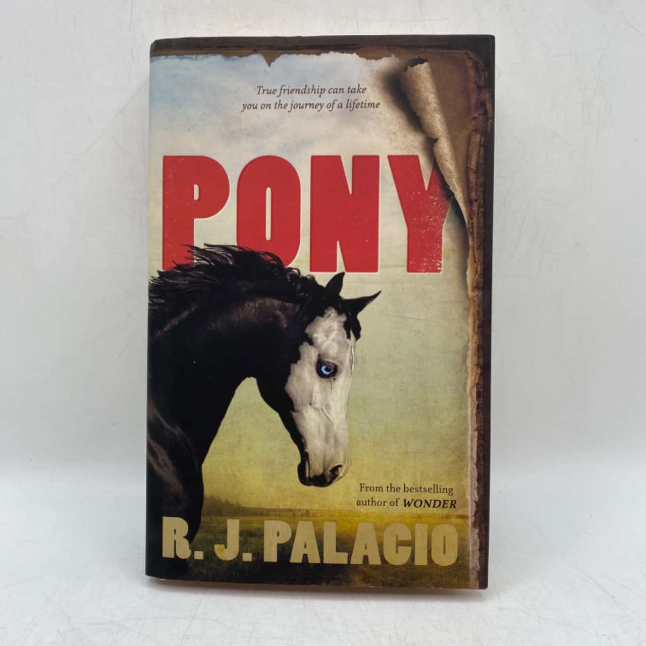Pony by R. J. Palacio(s)