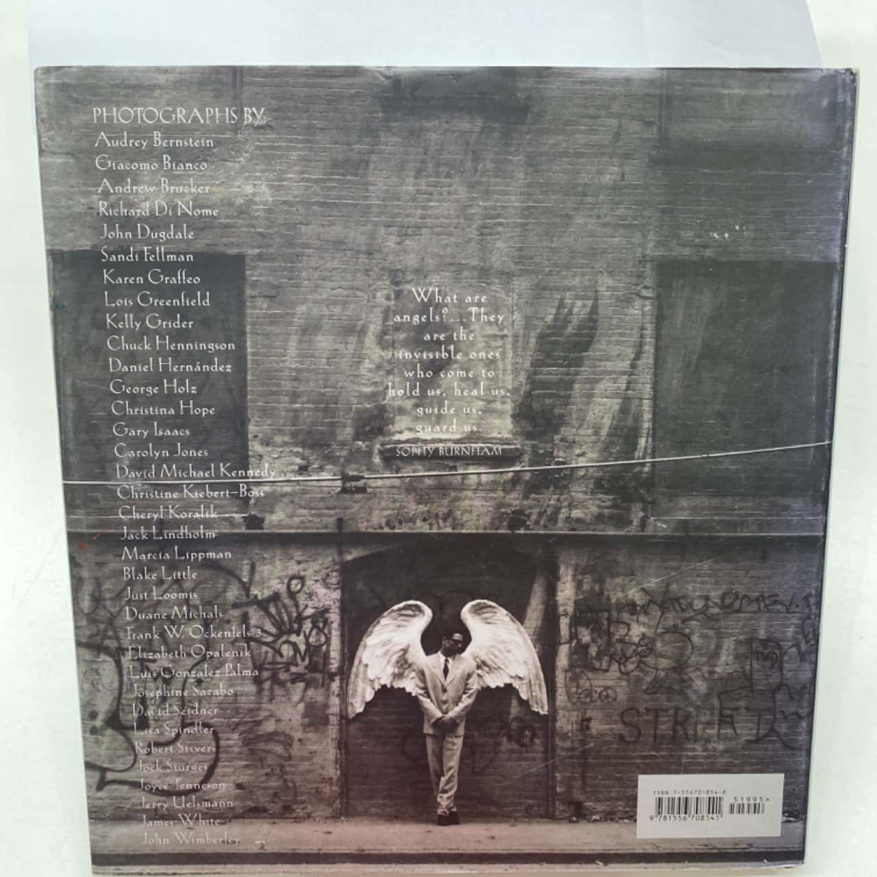 Visions of Angels by Nelson Bloncourt and Karen Engelman