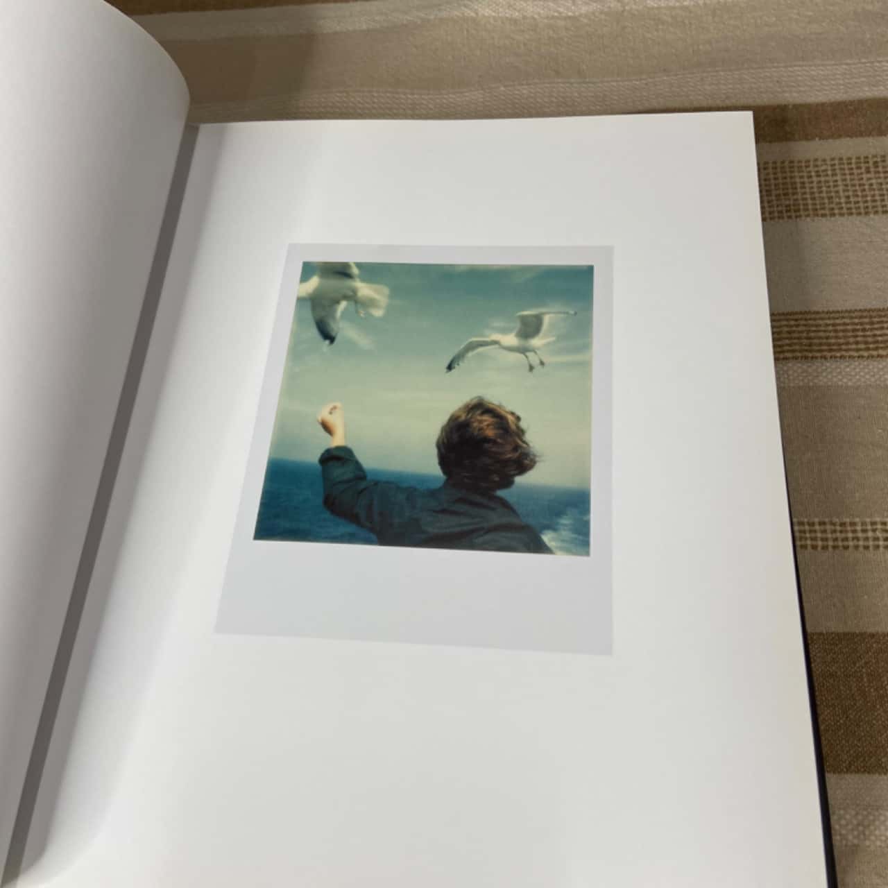 The Polaroid Book, selections from the Polaroid Collections of ...