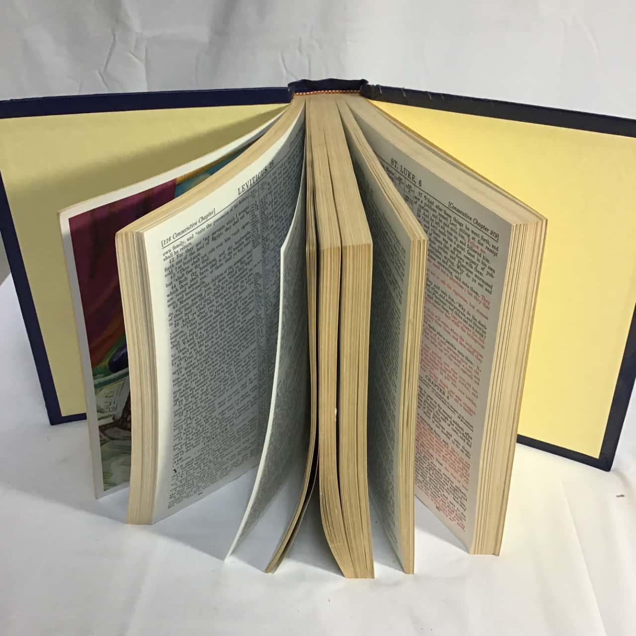 The Holy Bible Master Reference Edition Heirloom(s)