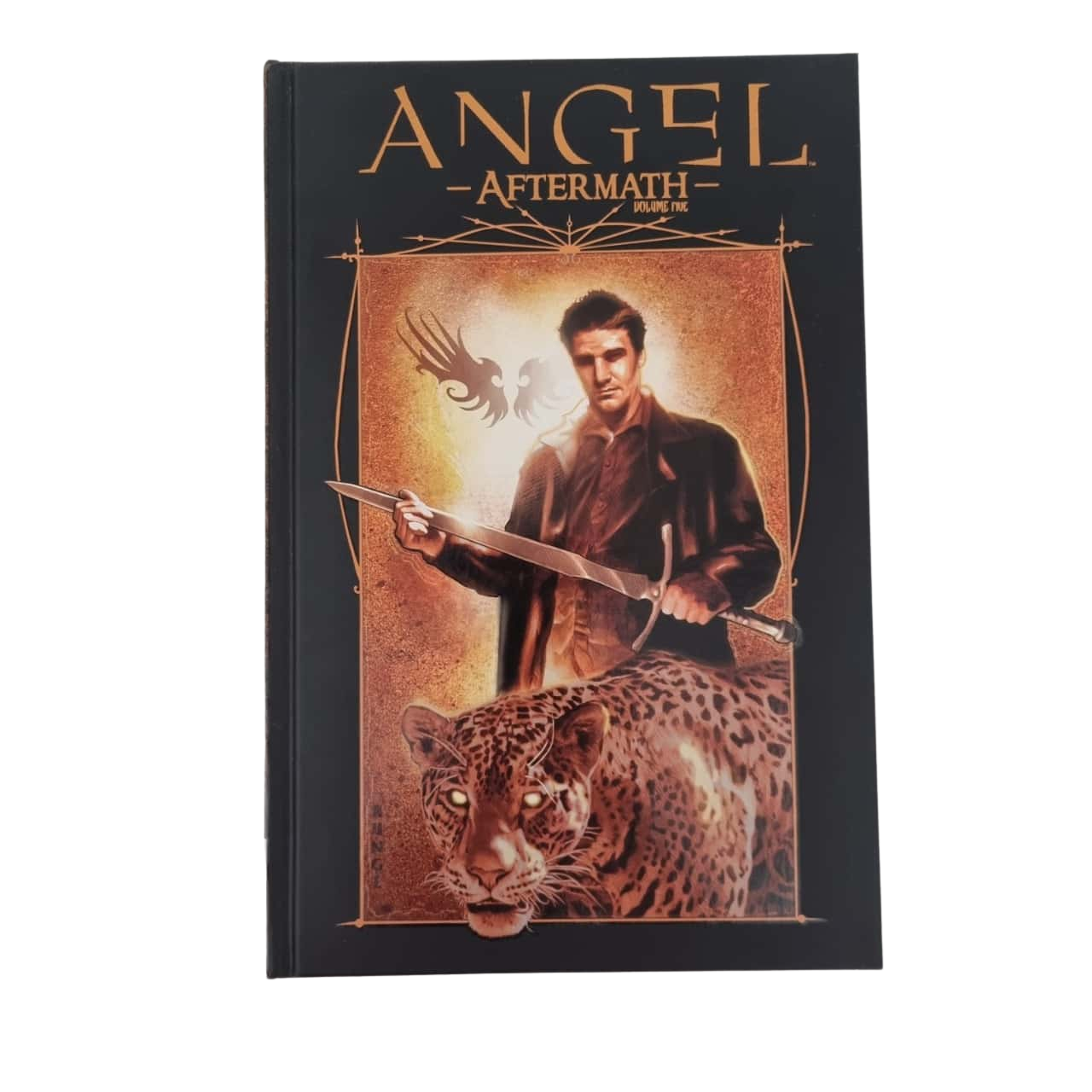 ANGEL Aftermath Vol. 5 (hardbound)(s)