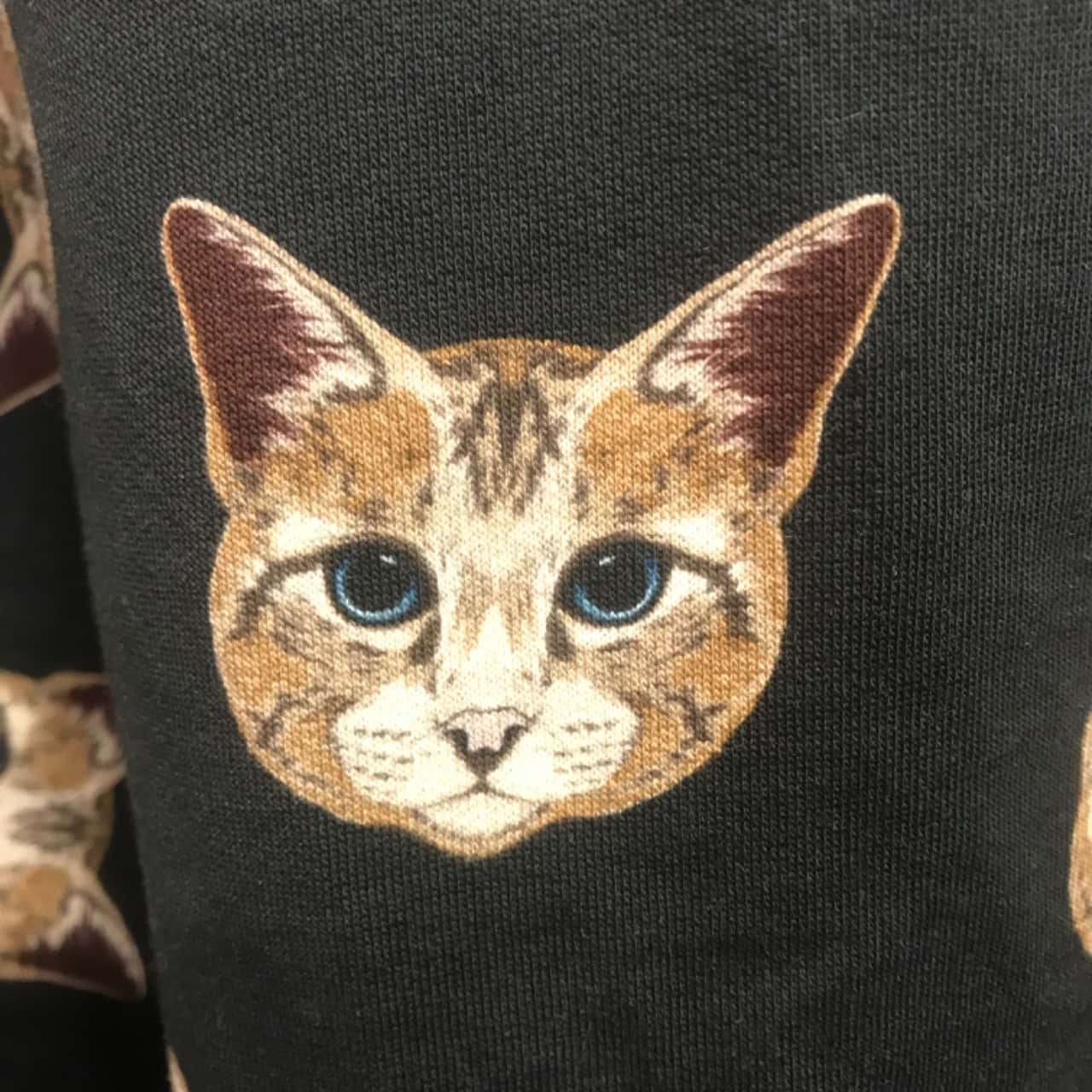 Dangerfield Cat Print Midriff Top Size 14(s)