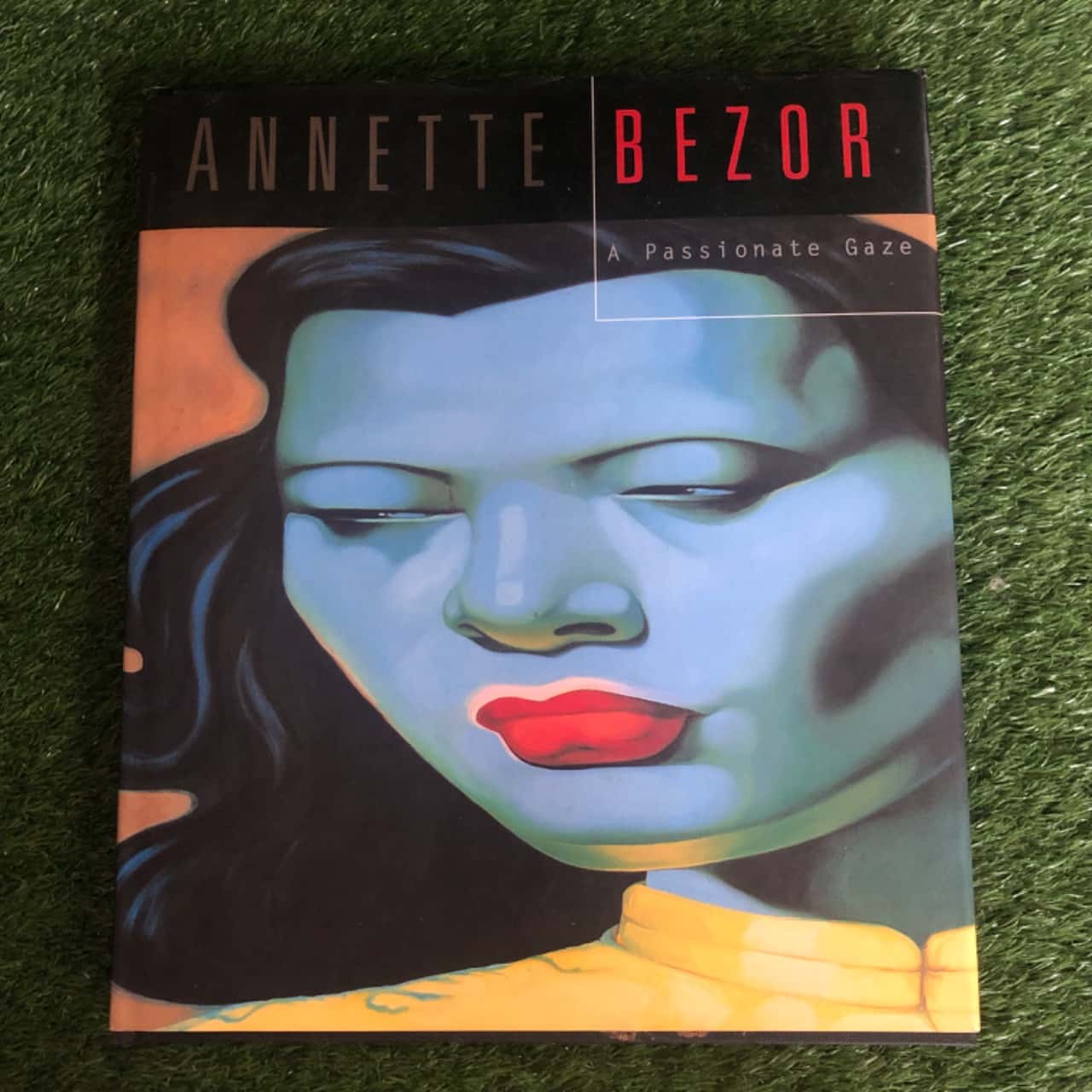 Annette Bezor: A Passionate Gaze by Annette Bezor(s)