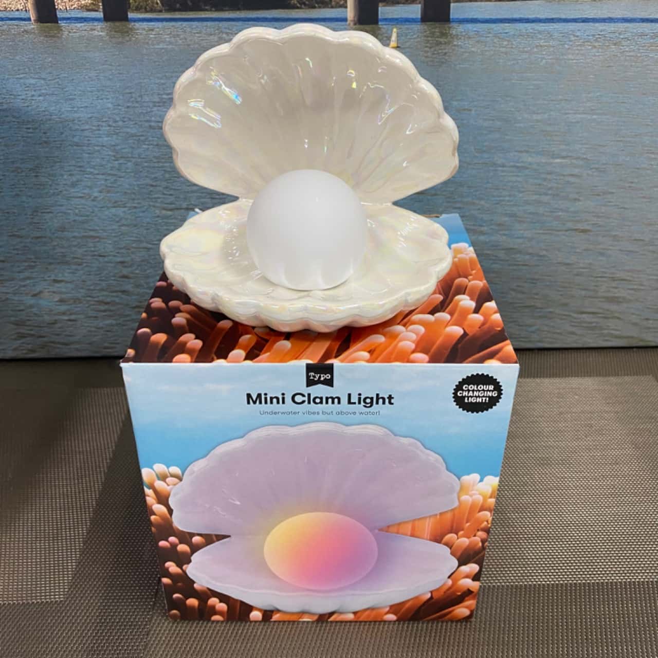Mini Clam Light “Typo” Colour changing