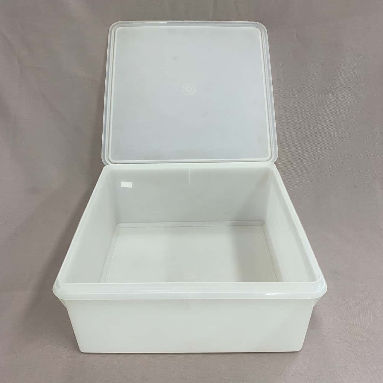VINTAGE/RETRO Extra Large Square Tupperware Sheer Container(s)