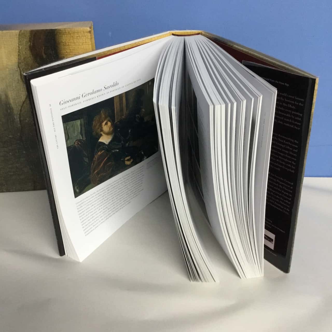 The Louvre All the Paintings- Erich Lessing, Vincent Pomarede(s)