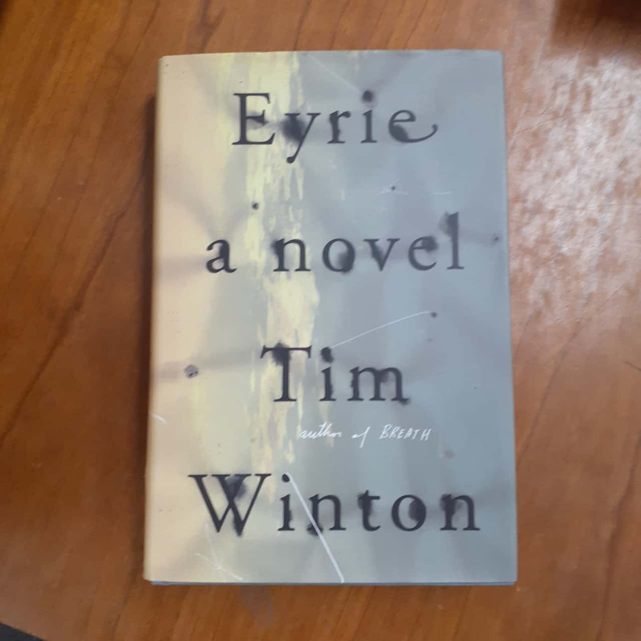Eyrie A Novel - Tim Winton (s)