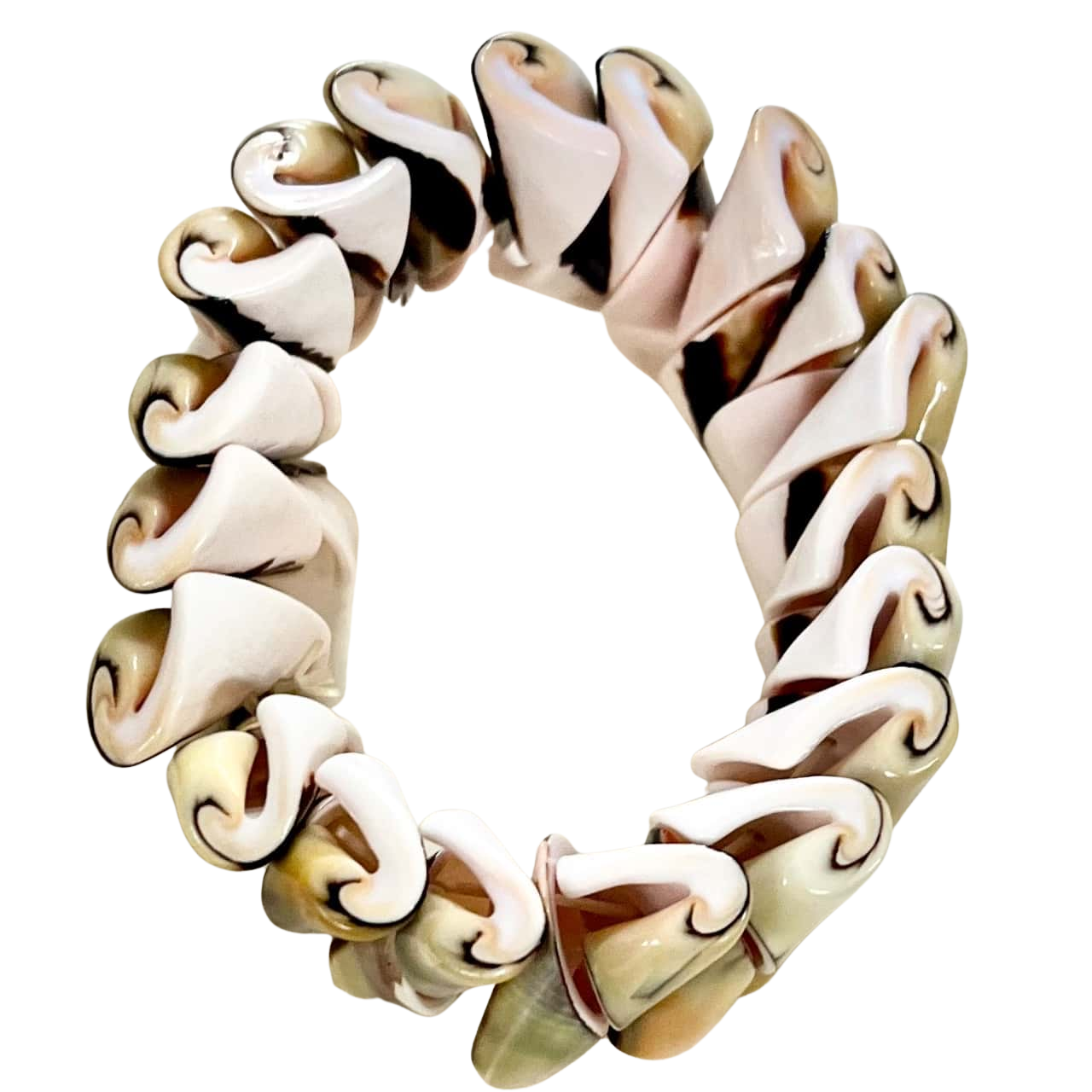 Shell Stretch Bracelet