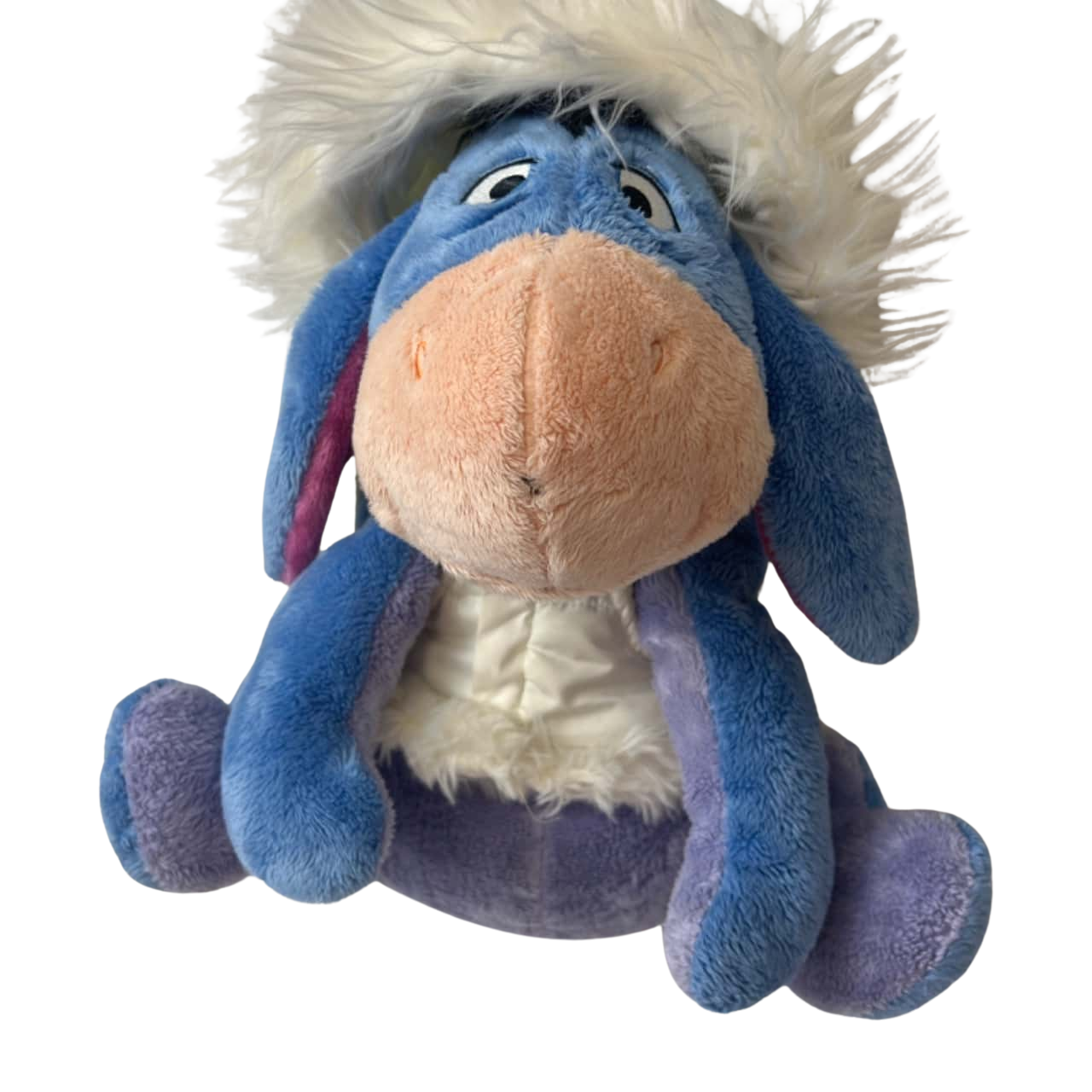 Eeyore in padded vest