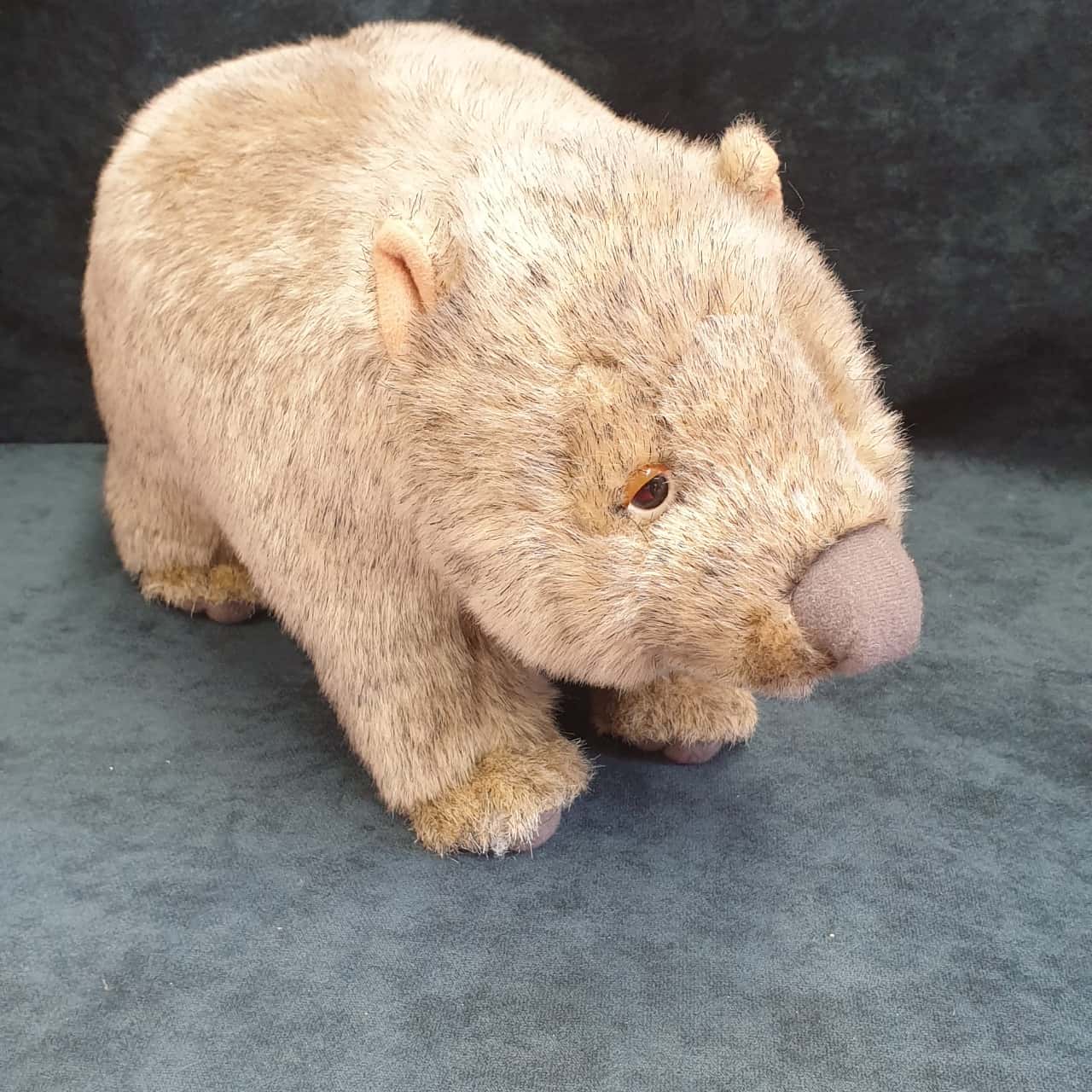 Wombat Stuffed Plush Toy (Anamalia)