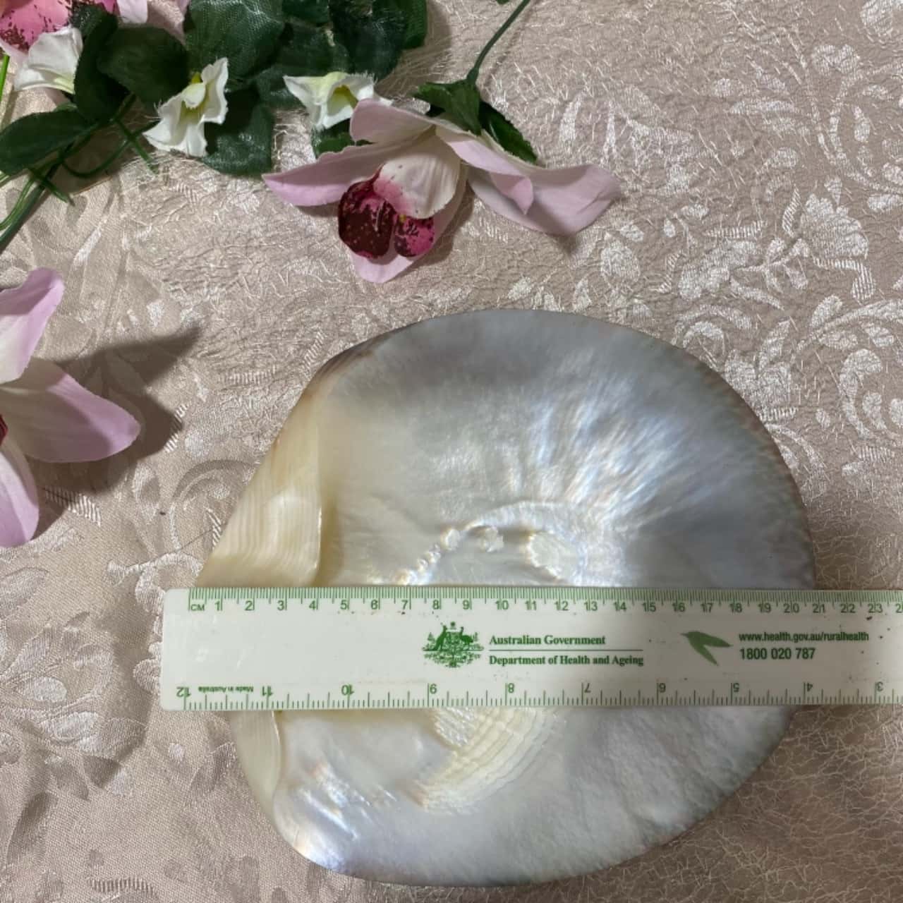 Large mother of pearls shell Tahiti II