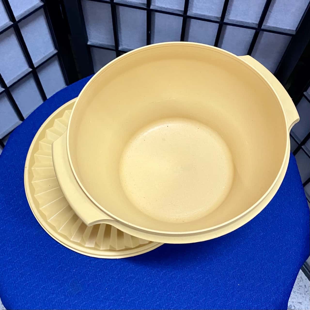 Tupperware Storage Container (s)