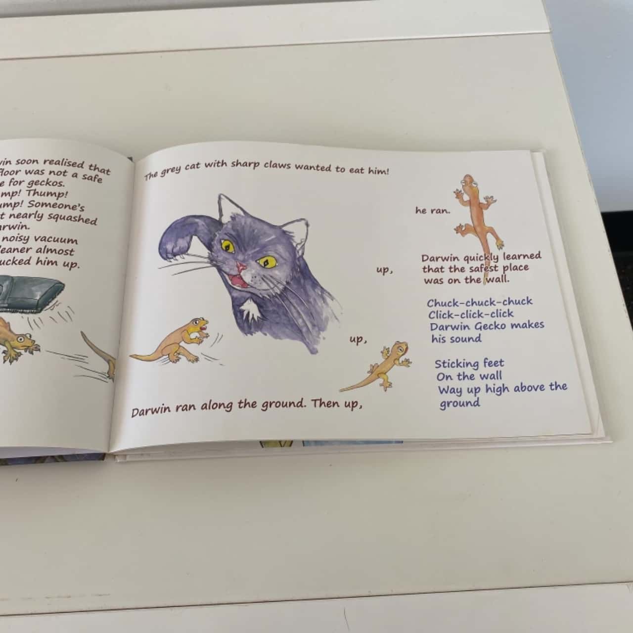 SIGNED BY AUTHOR Darwin Gecko by David M Welch Illustrated by Heather ...