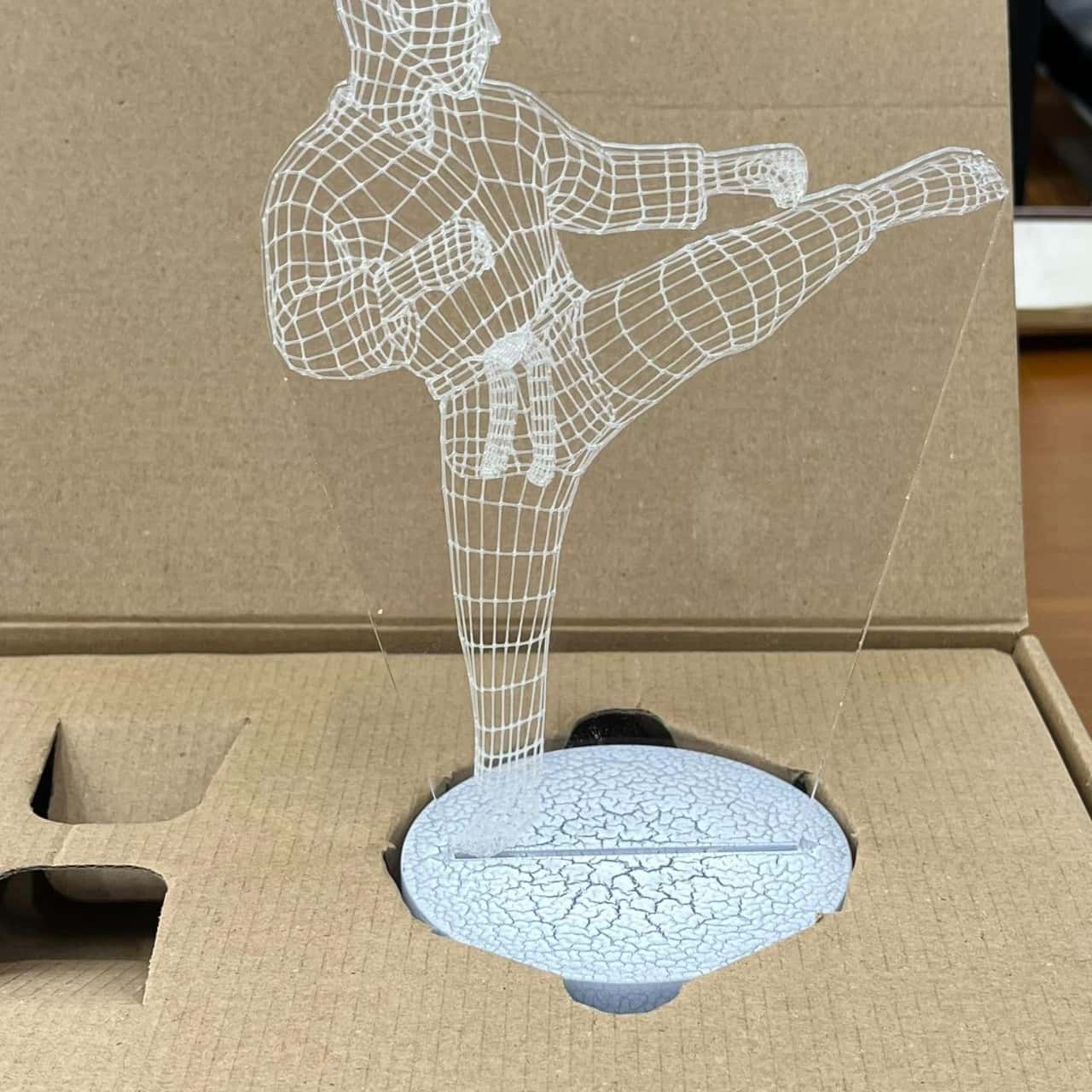 Karate Fighter 3D Night Light - Micro USB powered NEW