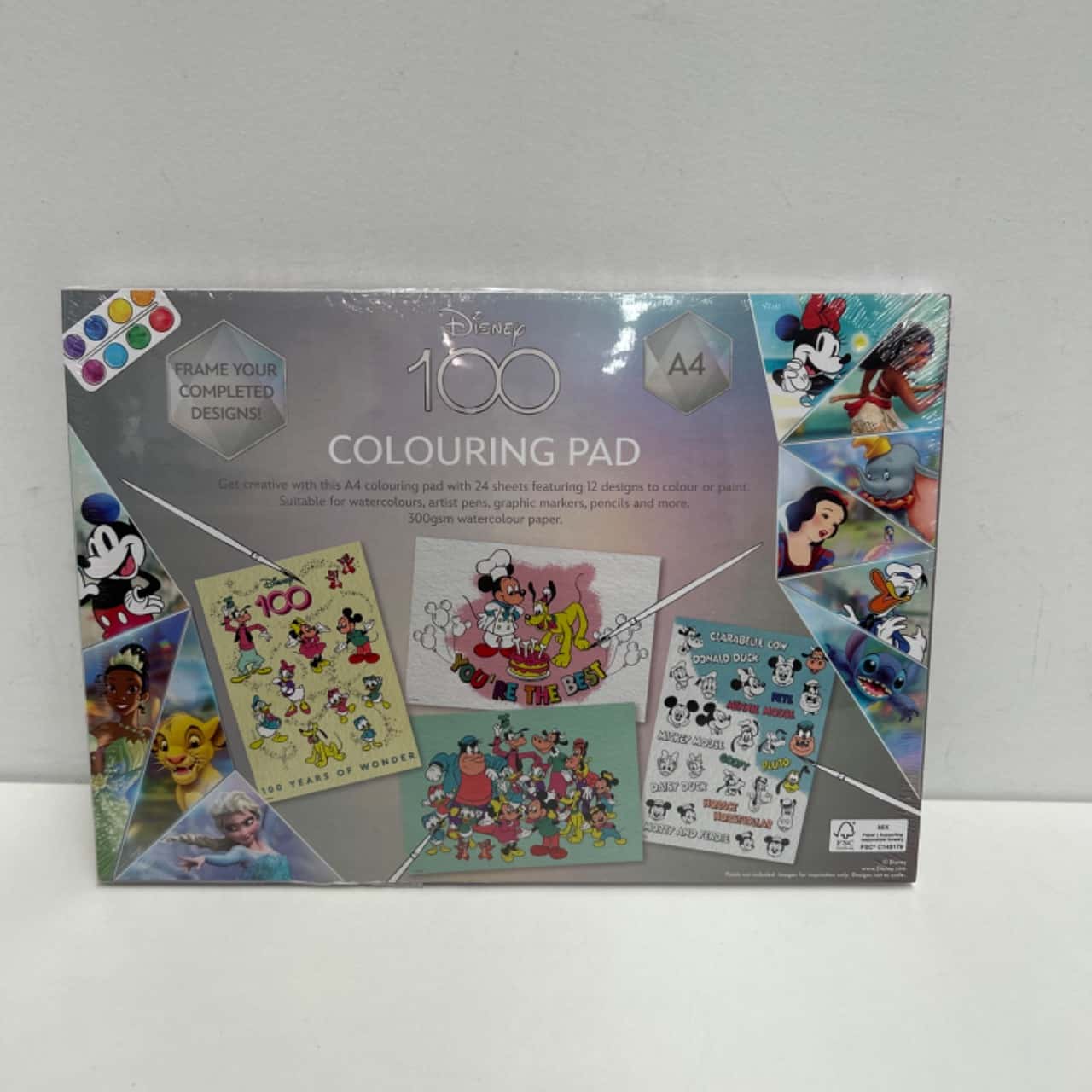 NEW - Disney 100 years Colouring Pad - 24 sheets for painting or ...