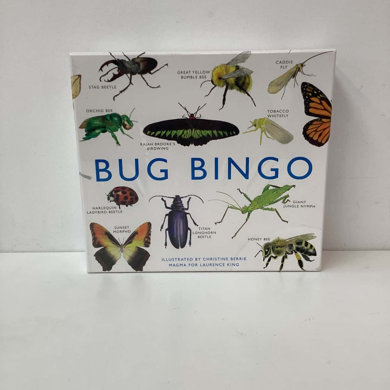 New - Bug Bingo